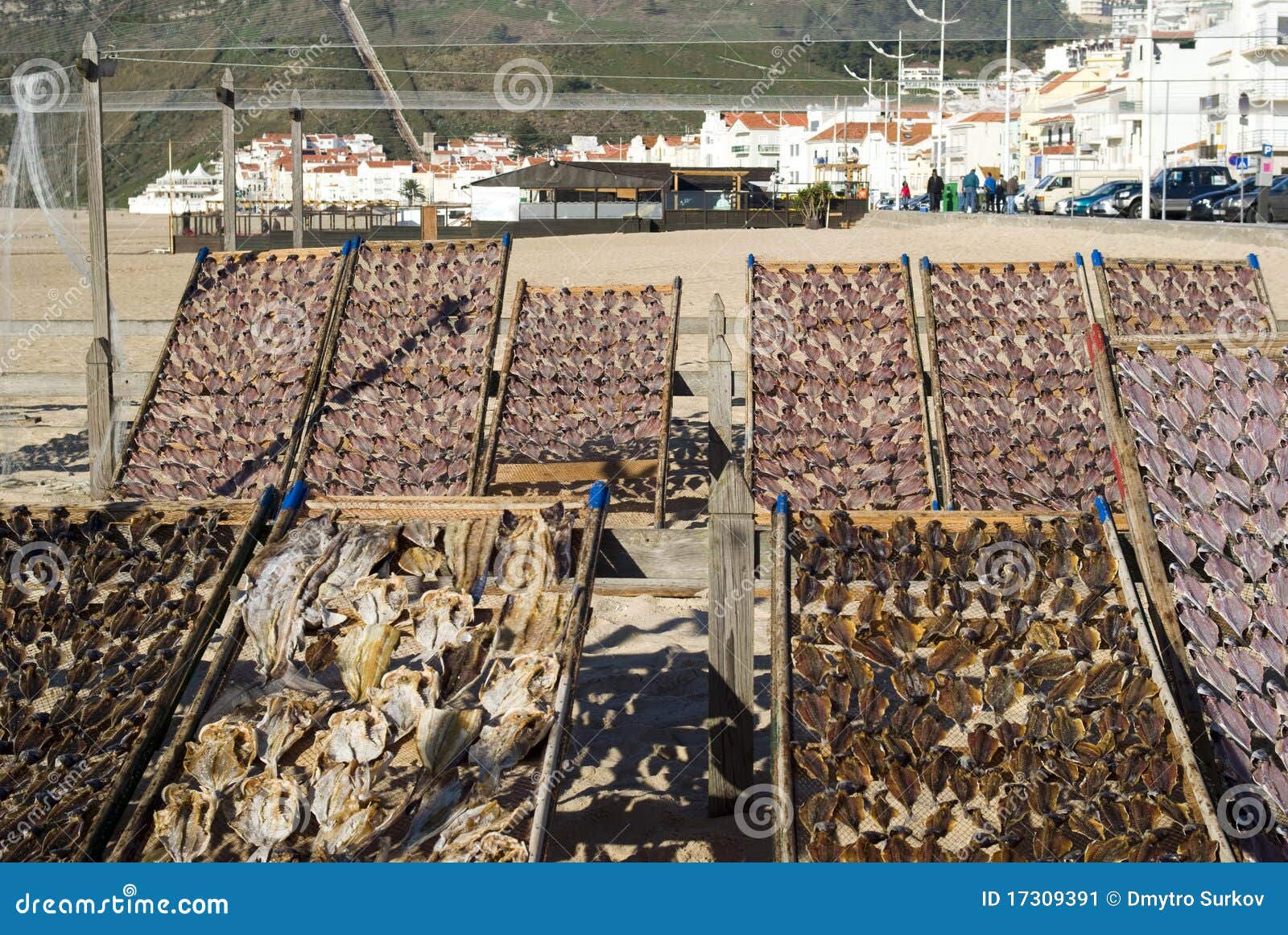 Drying fish stock image. Image of nazare, desiccated - 17309391