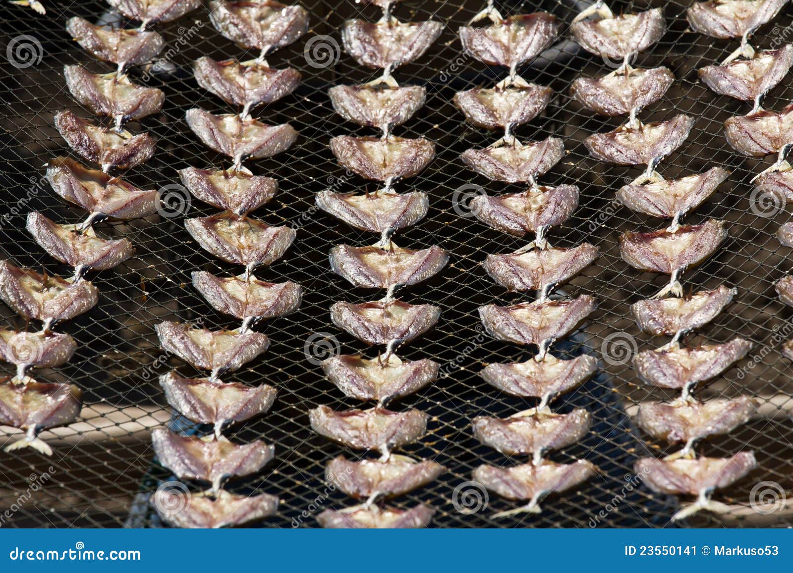 Drying fish stock image. Image of seafood, market, salty - 23550141