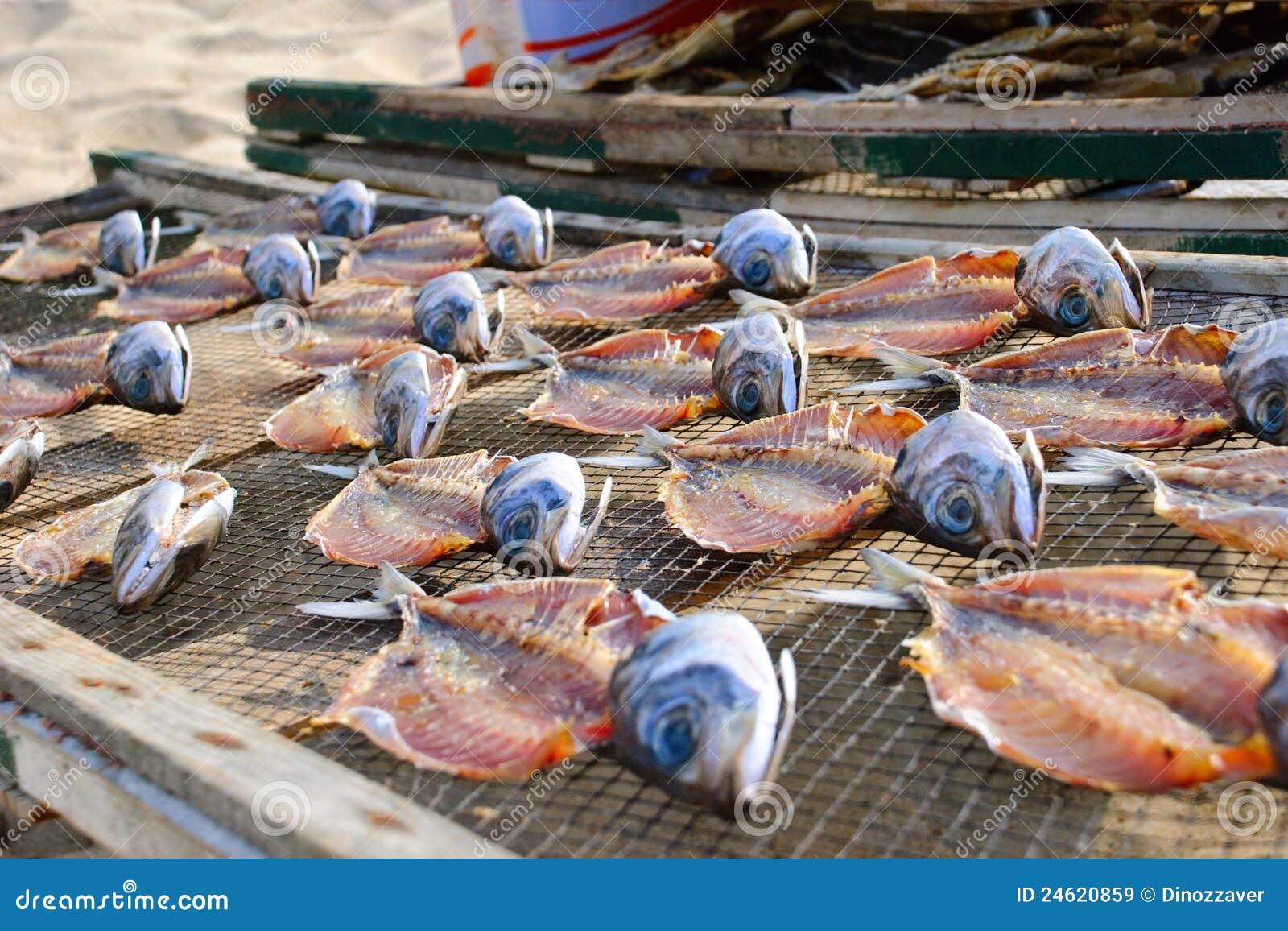 Drying fish stock image. Image of animal, protein, food - 24620859