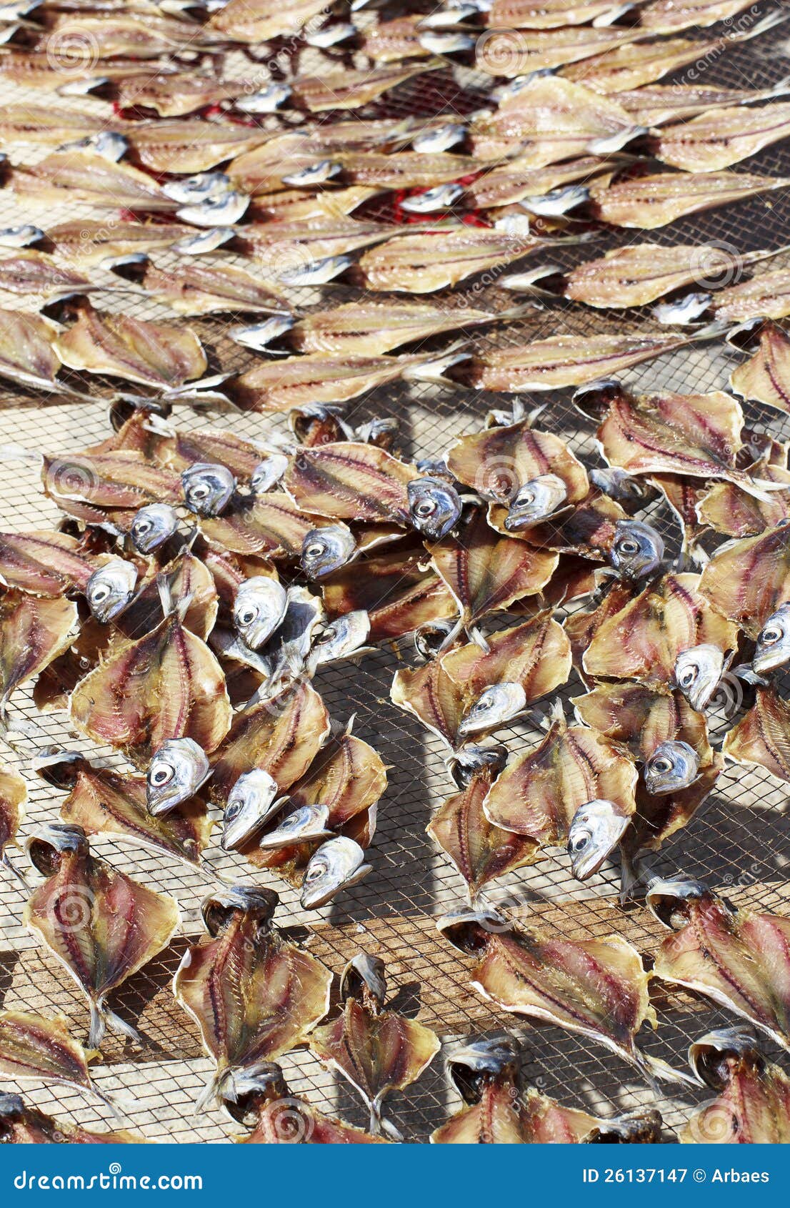 Drying fish stock image. Image of pattern, cooking, freshness - 26137147