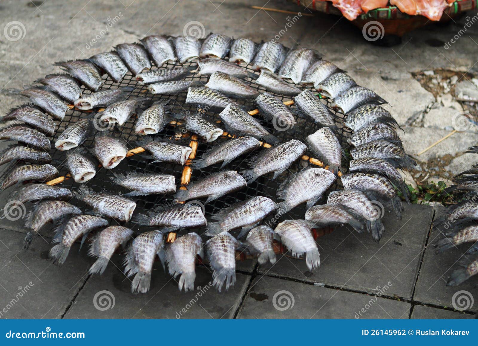 Drying fish. stock photo. Image of asia, drying, dried - 26145962