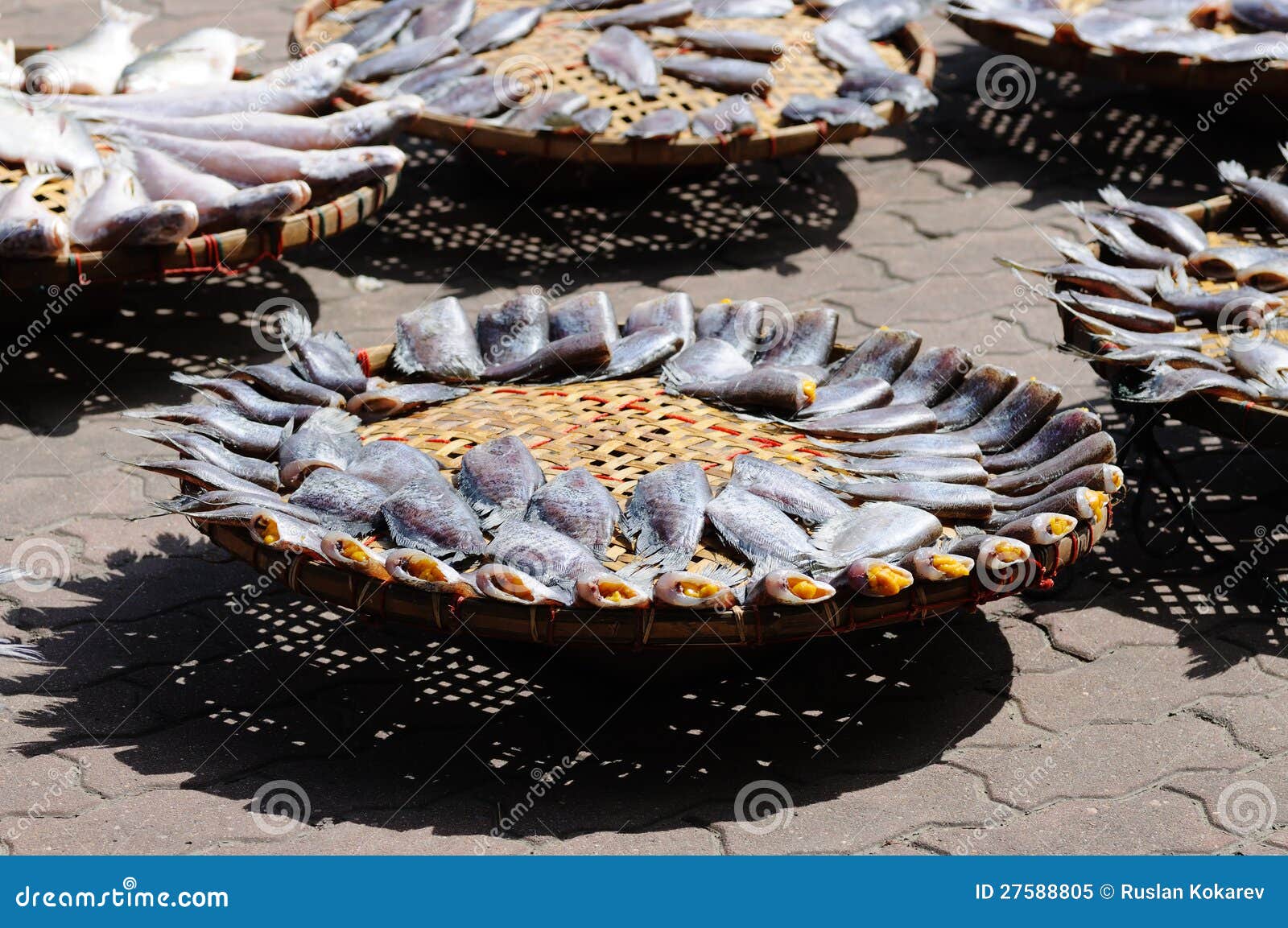 Drying fish. stock image. Image of delicious, fish, dried - 27588805