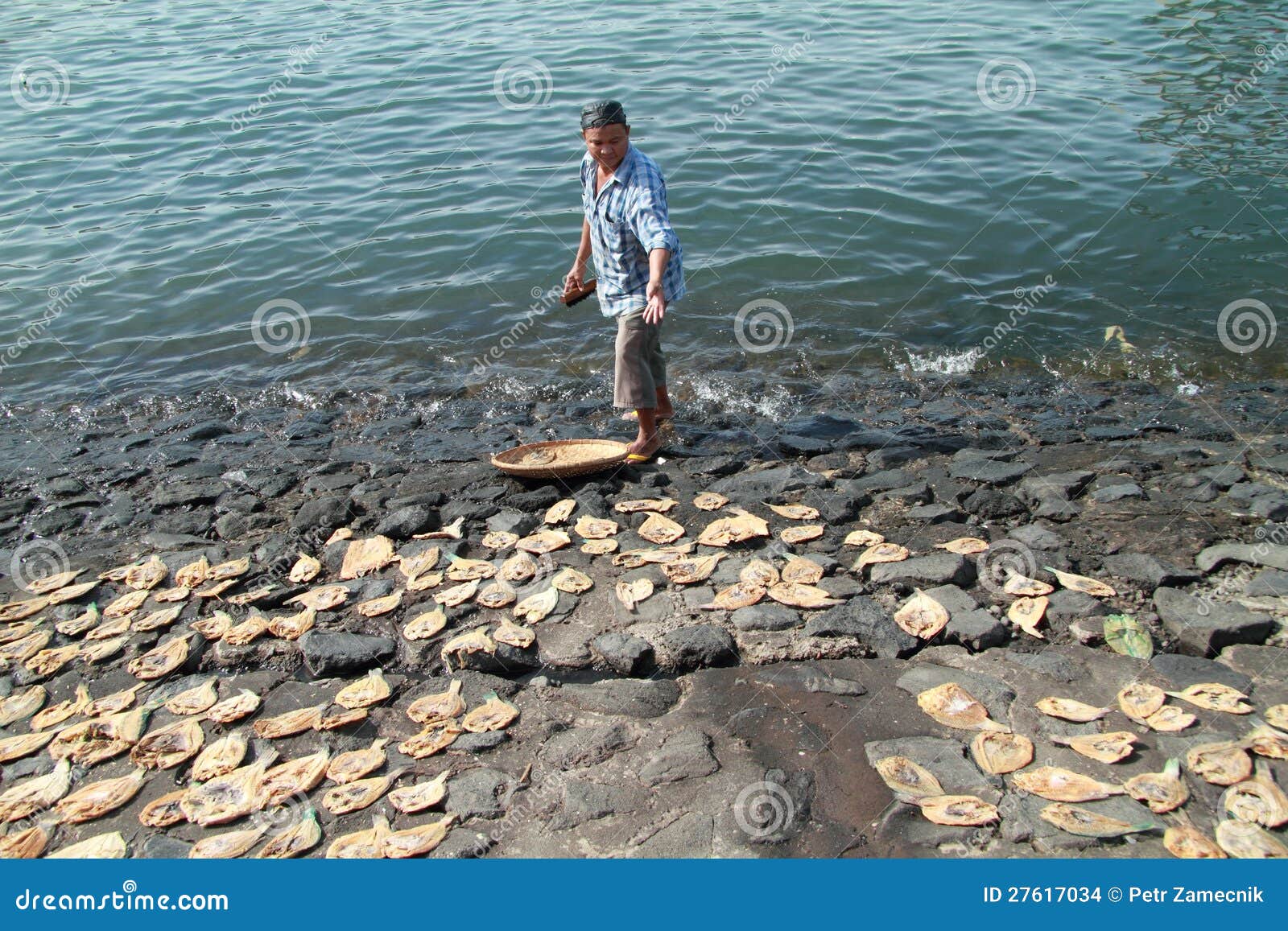Drying fish editorial stock image. Image of sulawesi - 27617034