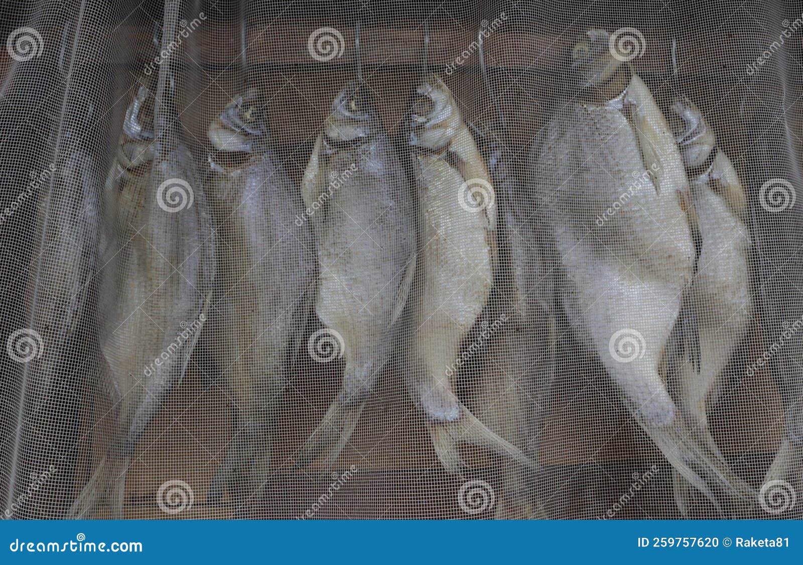 Drying Fish in the Air, Dried Perch on a Hook, Salted Carp Stock Photo ...