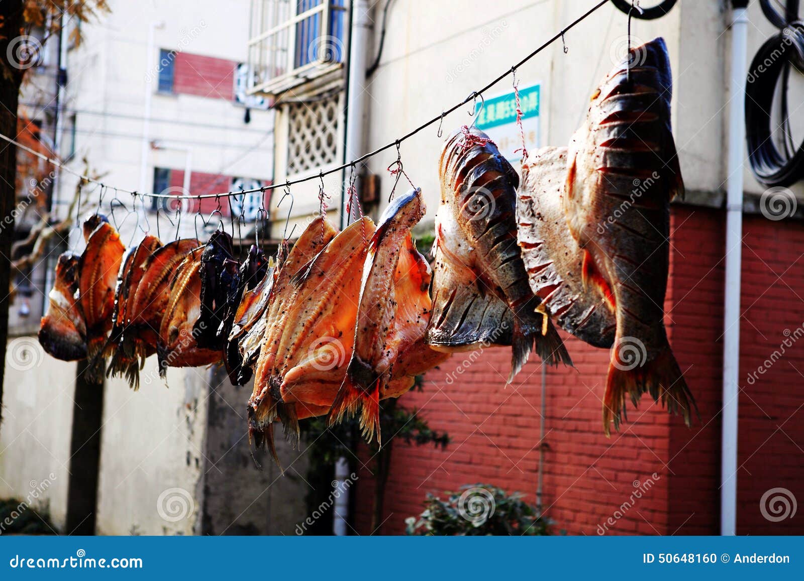Drying fish editorial image. Image of dried, conservation - 50648160