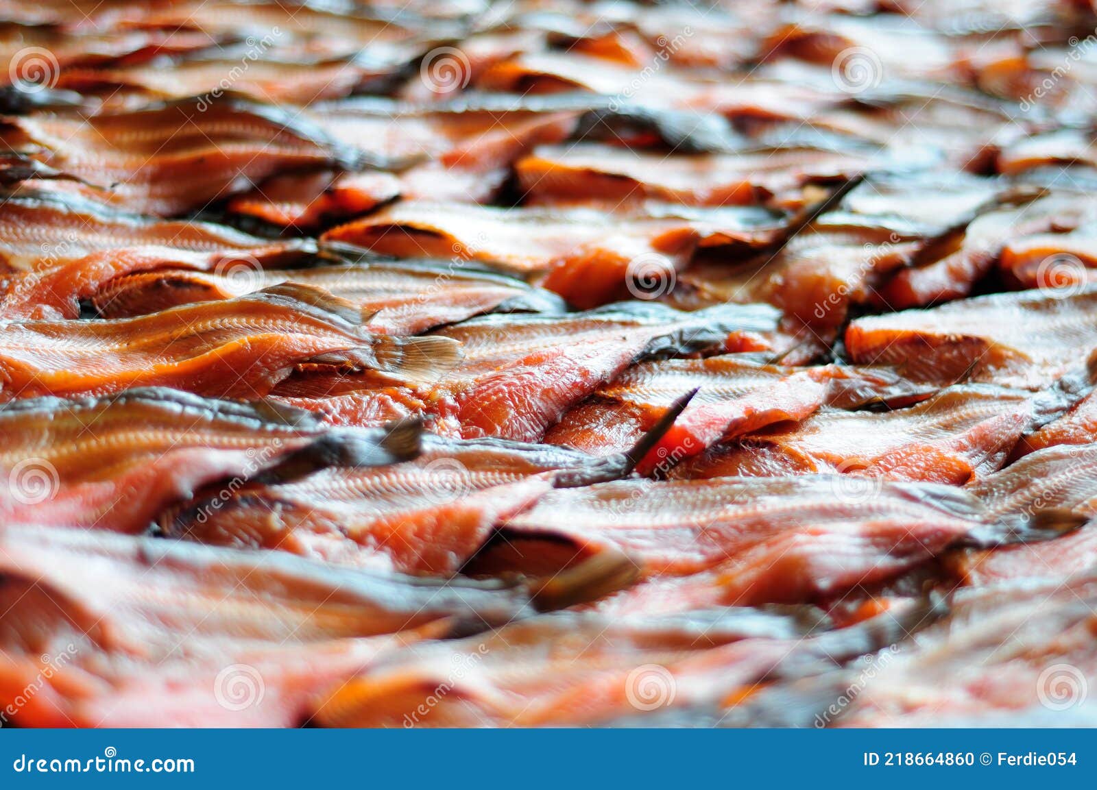 Drying Raw Fish stock photo. Image of natural, drying - 218664860