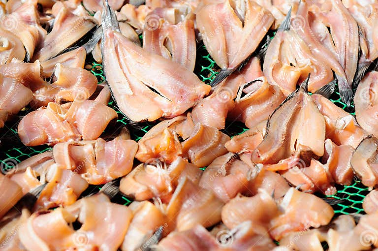 Drying Raw Fish stock image. Image of natural, orange - 218664867