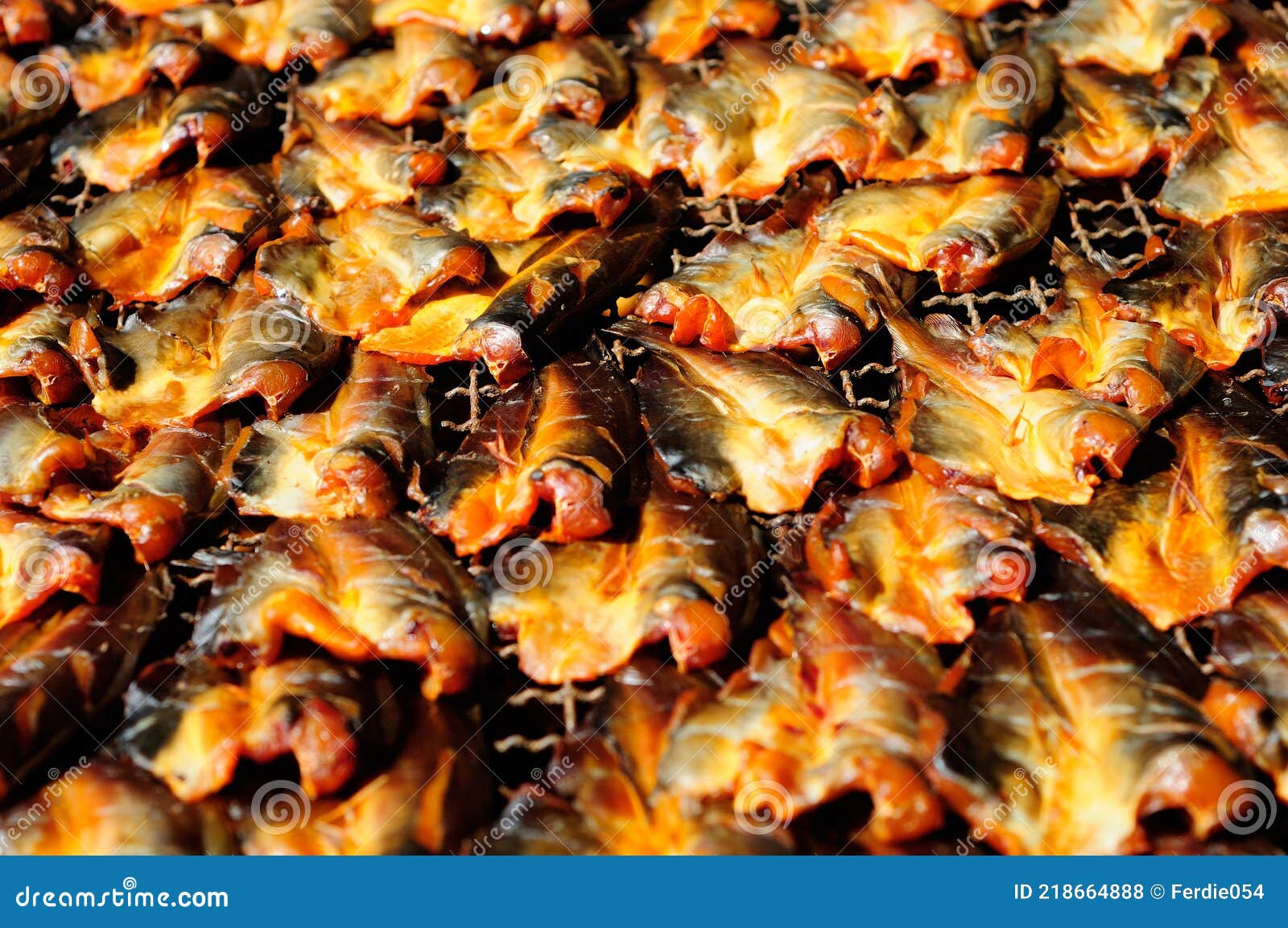 Drying Fresh Fish stock photo. Image of asian, industry - 218664888
