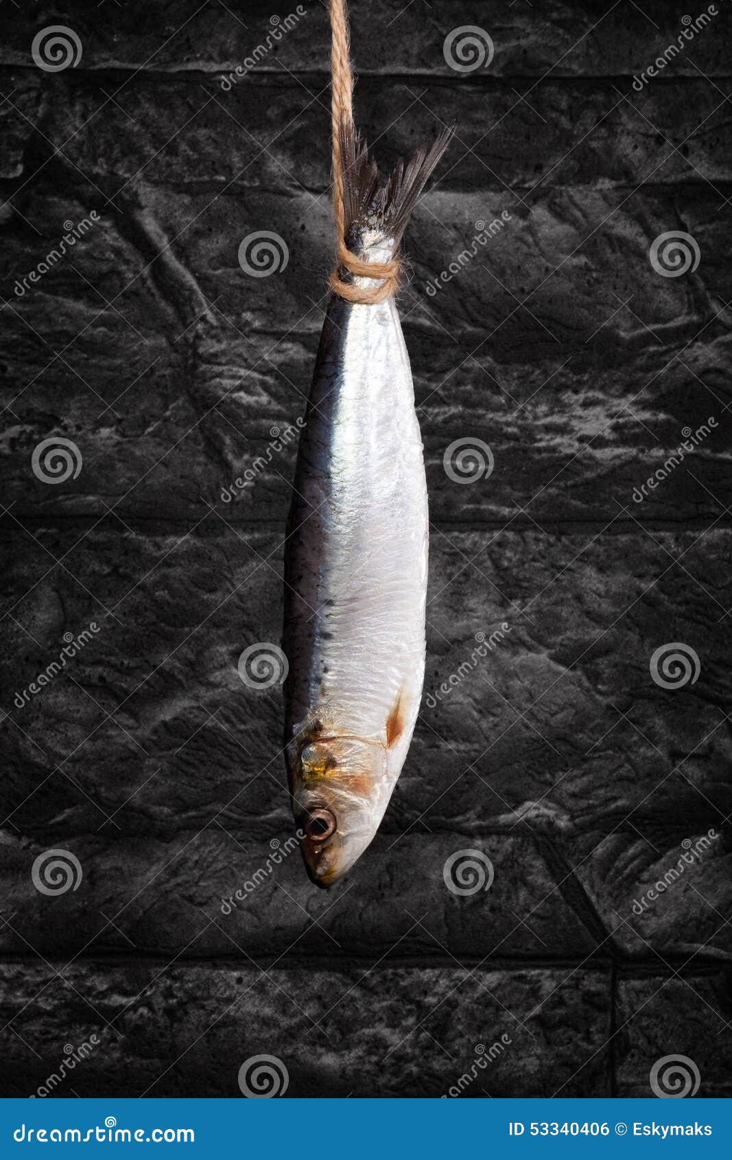 201 Fish Drying String Photos - Free & Royalty-Free Stock Photos from ...