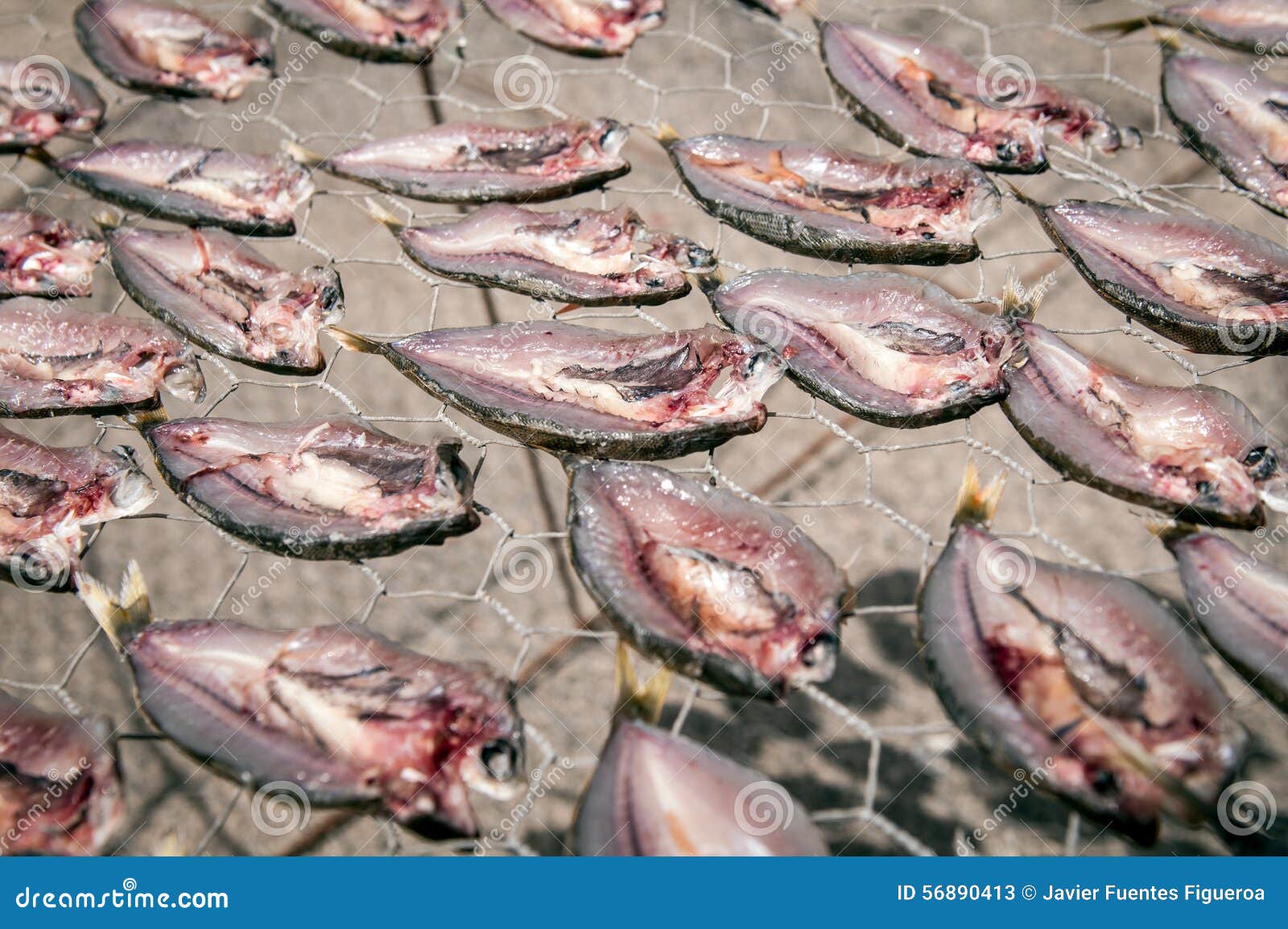 Drying fish stock image. Image of atlantic, hang, gourmet - 56890413