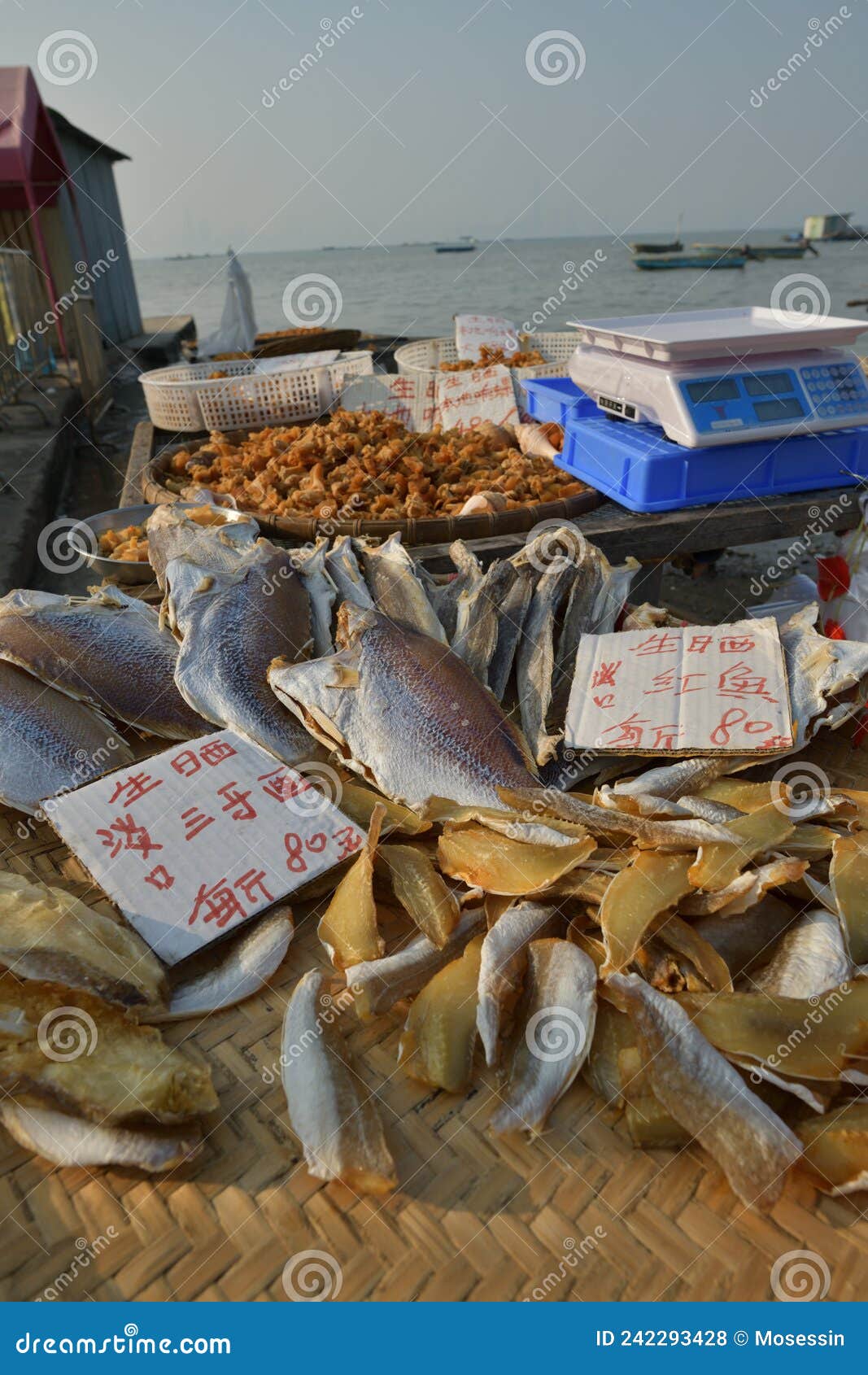 Drying fish under sunlight editorial stock photo. Image of coastline ...