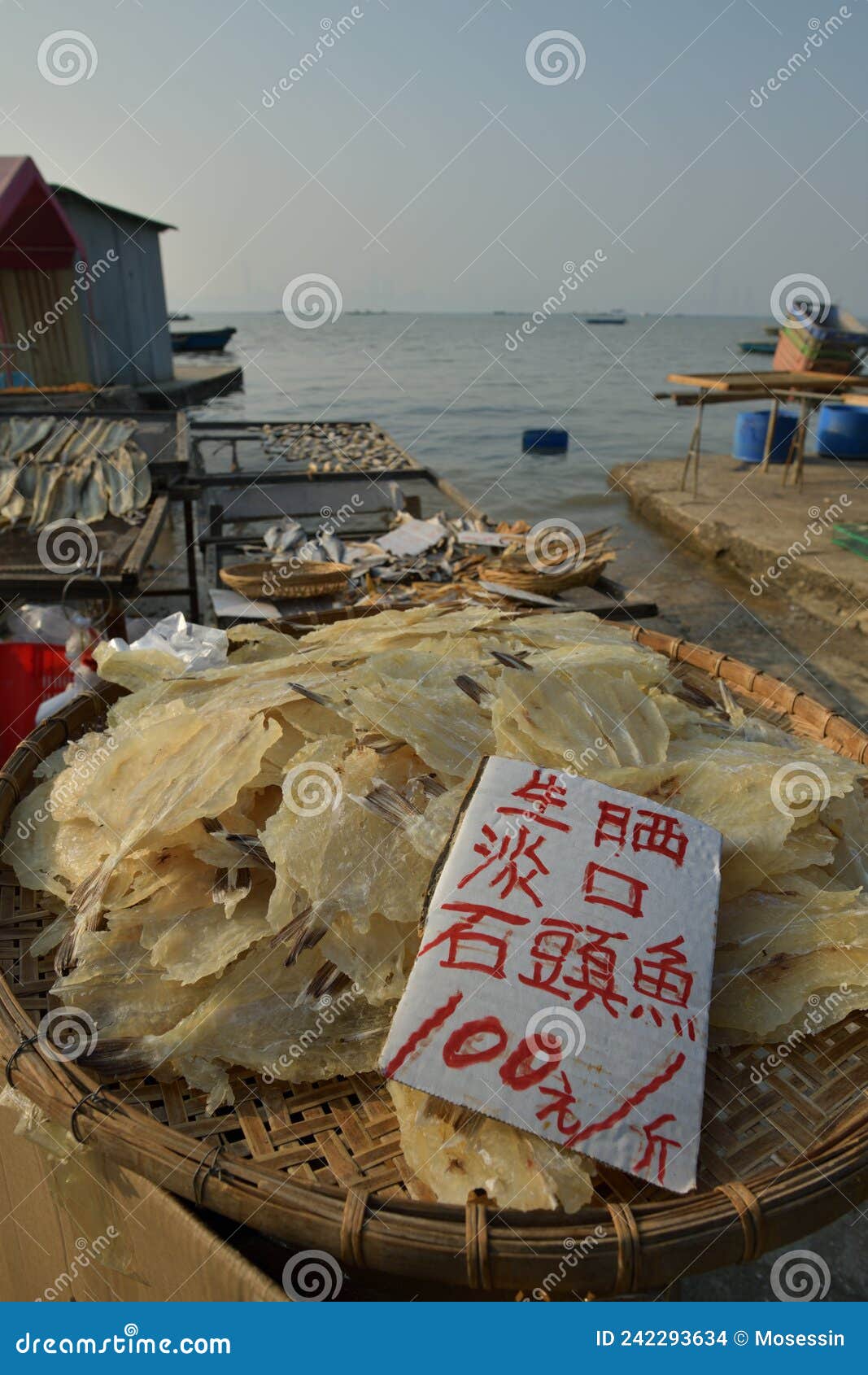 Drying Fish Process Editorial Image | CartoonDealer.com #86289240