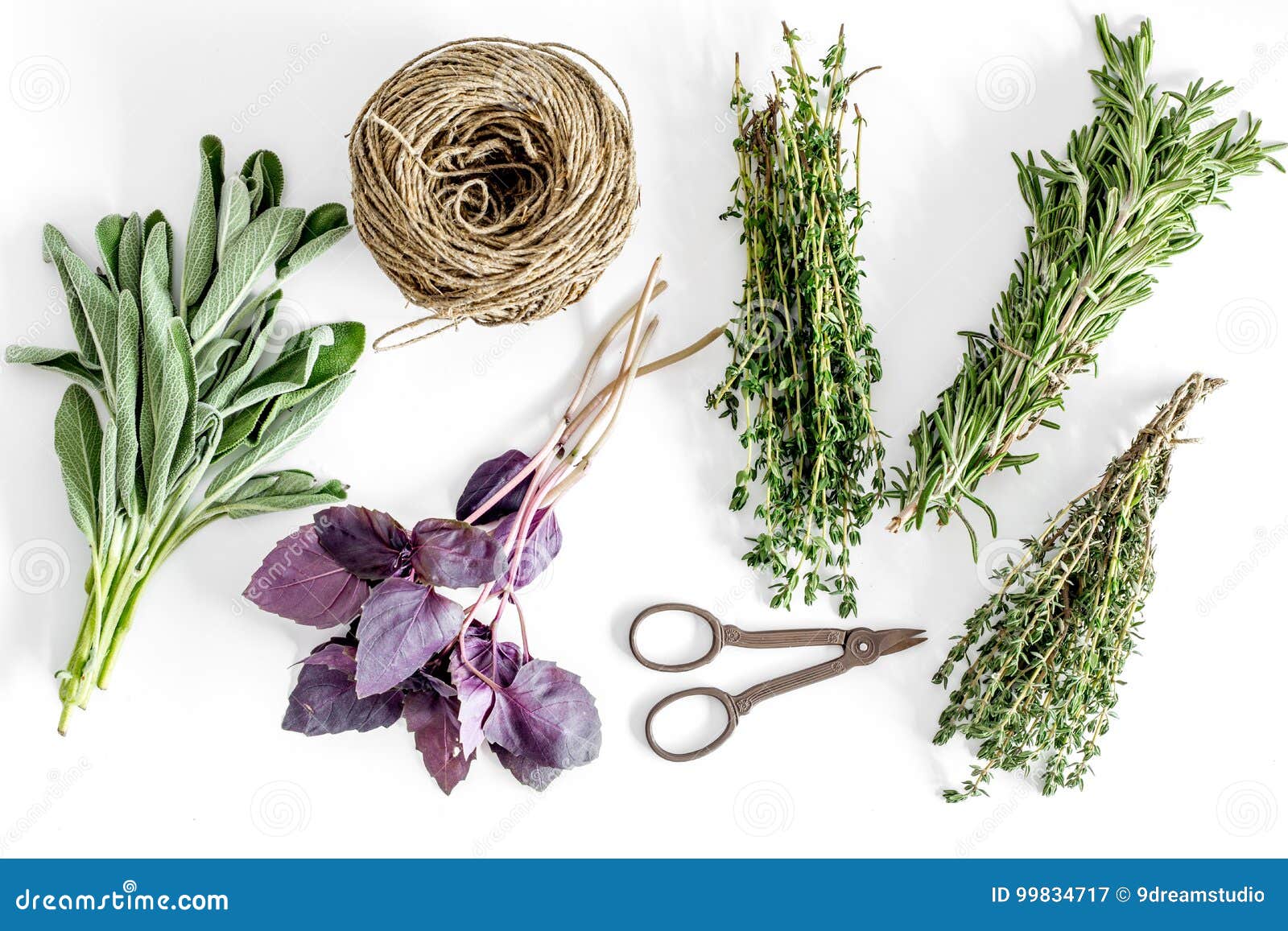 Drying Fresh Herbs and Greenery for Spice Food on White Kitchen Desk ...