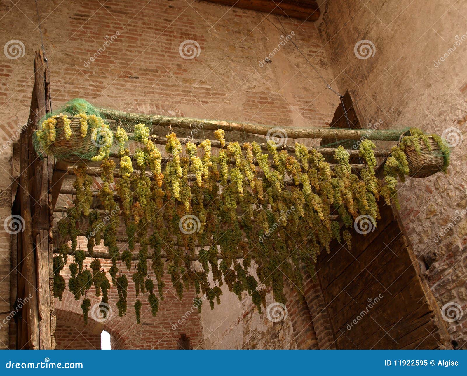 Drying grapes stock image. Image of gates, winery, wood - 11922595
