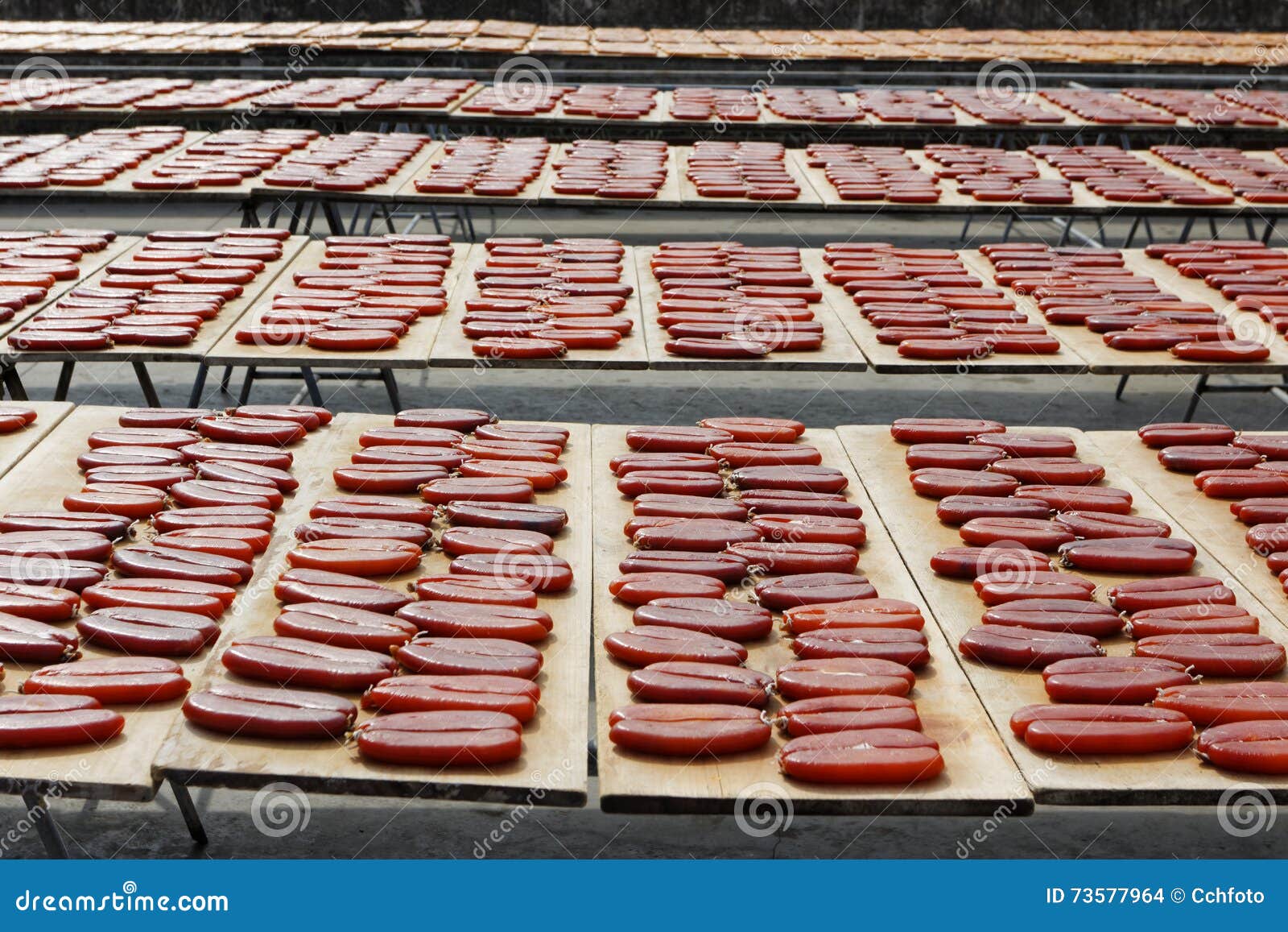 Drying grey mullet roe stock photo. Image of delicious - 73577964