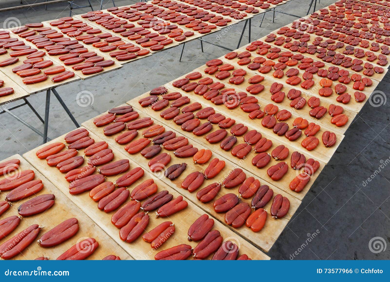 Drying grey mullet roe stock photo. Image of delicious - 73577966