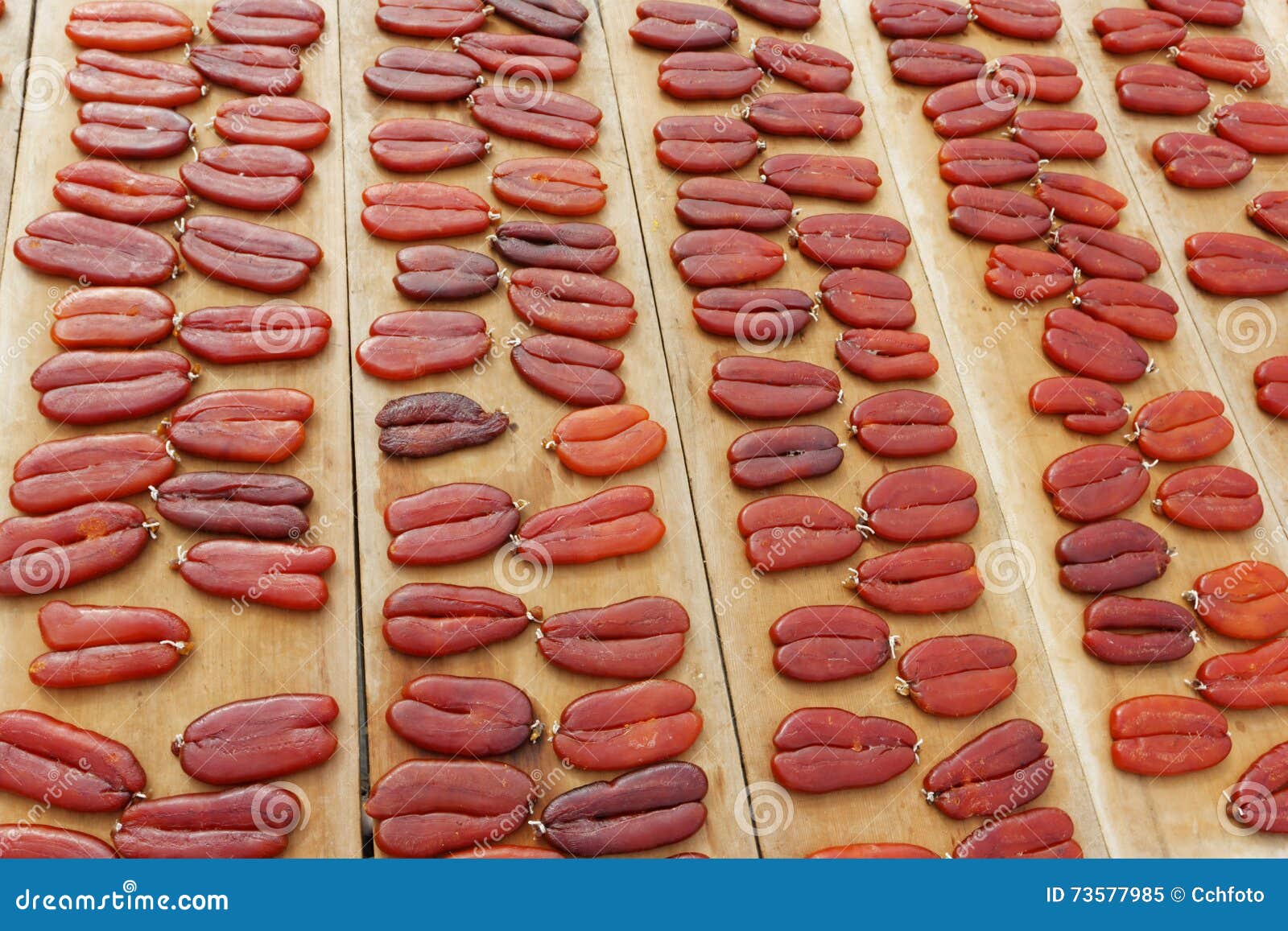 Drying grey mullet roe stock image. Image of karasumi - 73577985