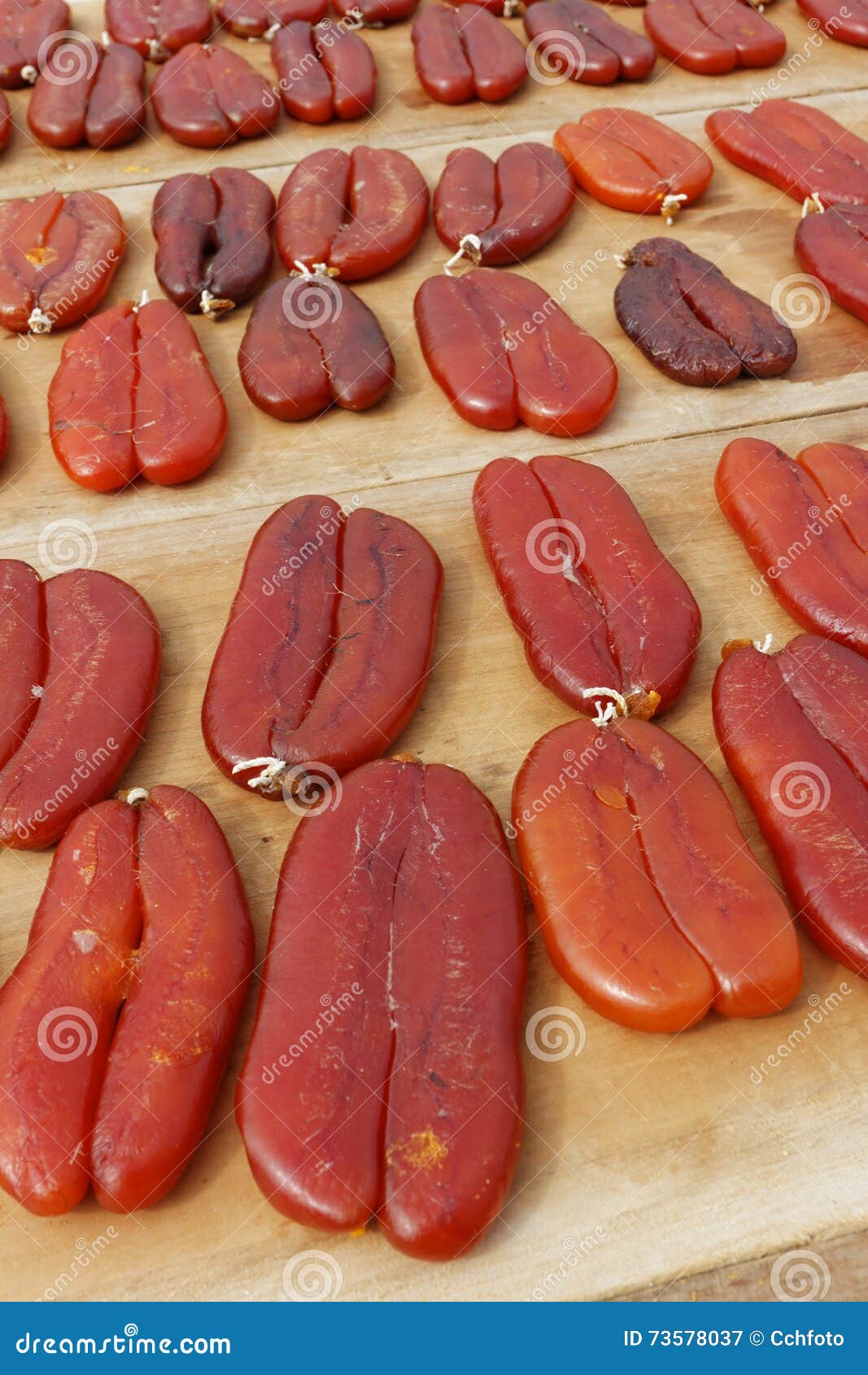 Drying grey mullet roe stock image. Image of ocean, natural - 73578037