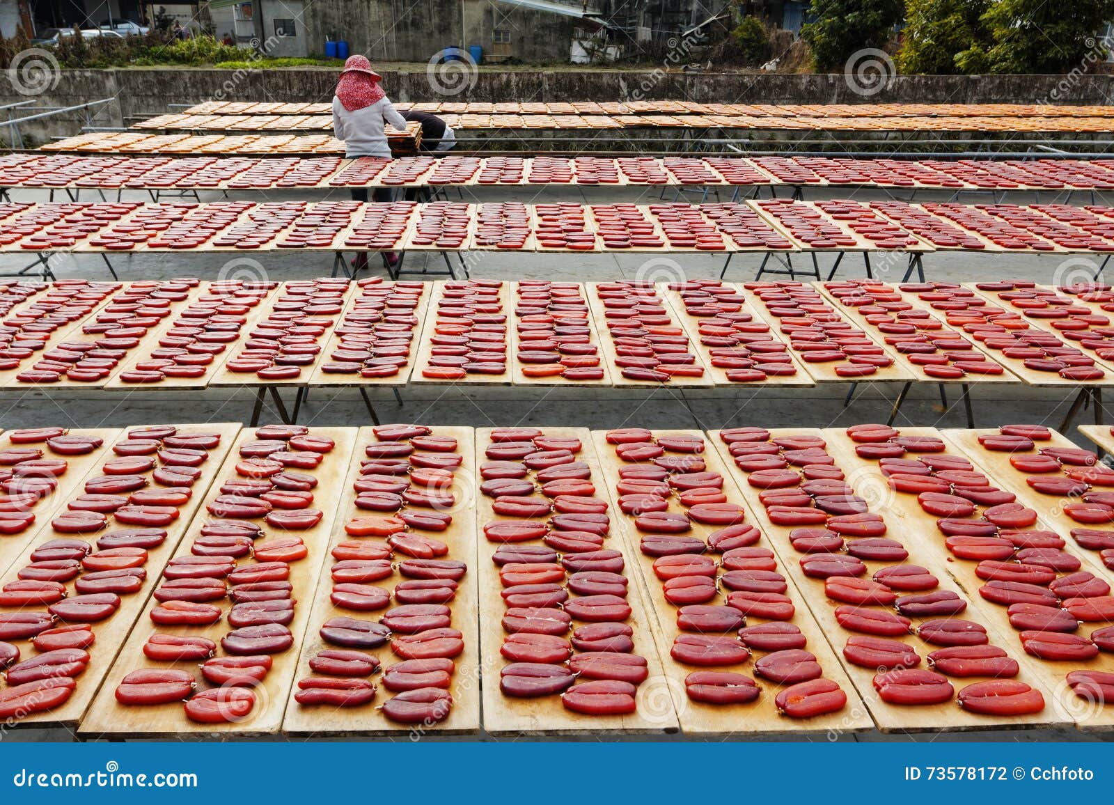 Drying grey mullet roe stock photo. Image of sunlight - 73578172