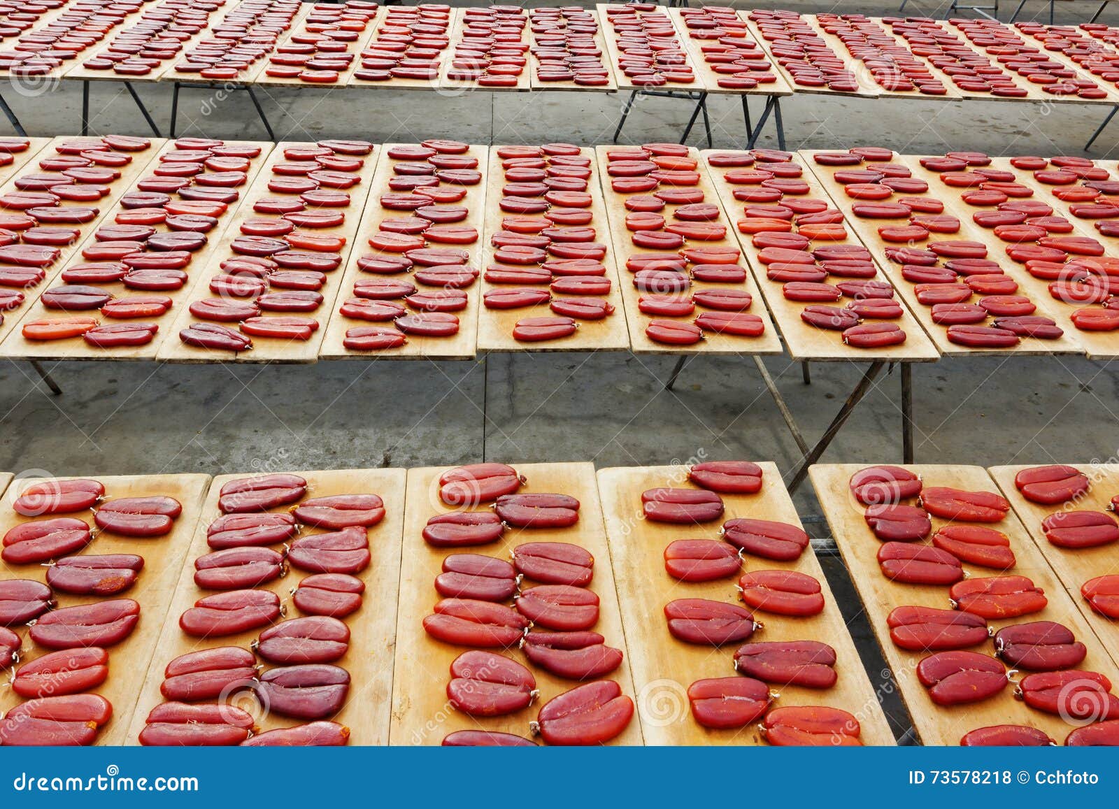 Drying grey mullet roe stock photo. Image of salt, sunlight - 73578218
