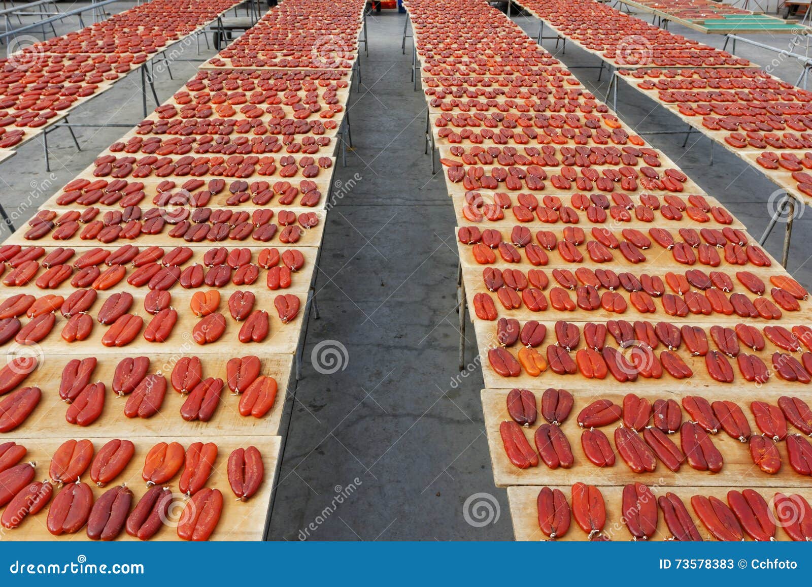 Drying Grey Mullet Roe on Boards Stock Image - Image of seafood, fish ...