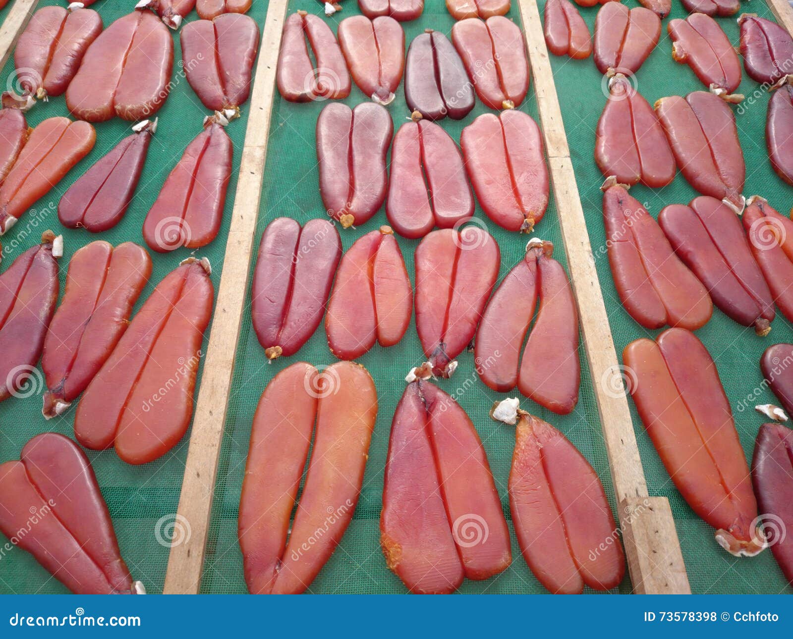Drying Grey Mullet Roe on Boards Stock Photo - Image of natural ...