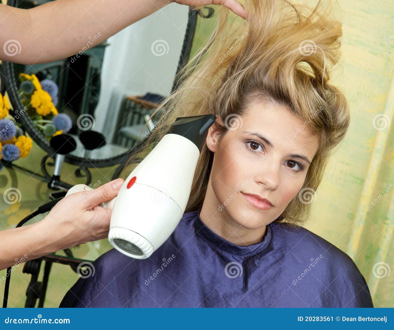 Drying hair stock image. Image of blond, fashion, professional - 20283561