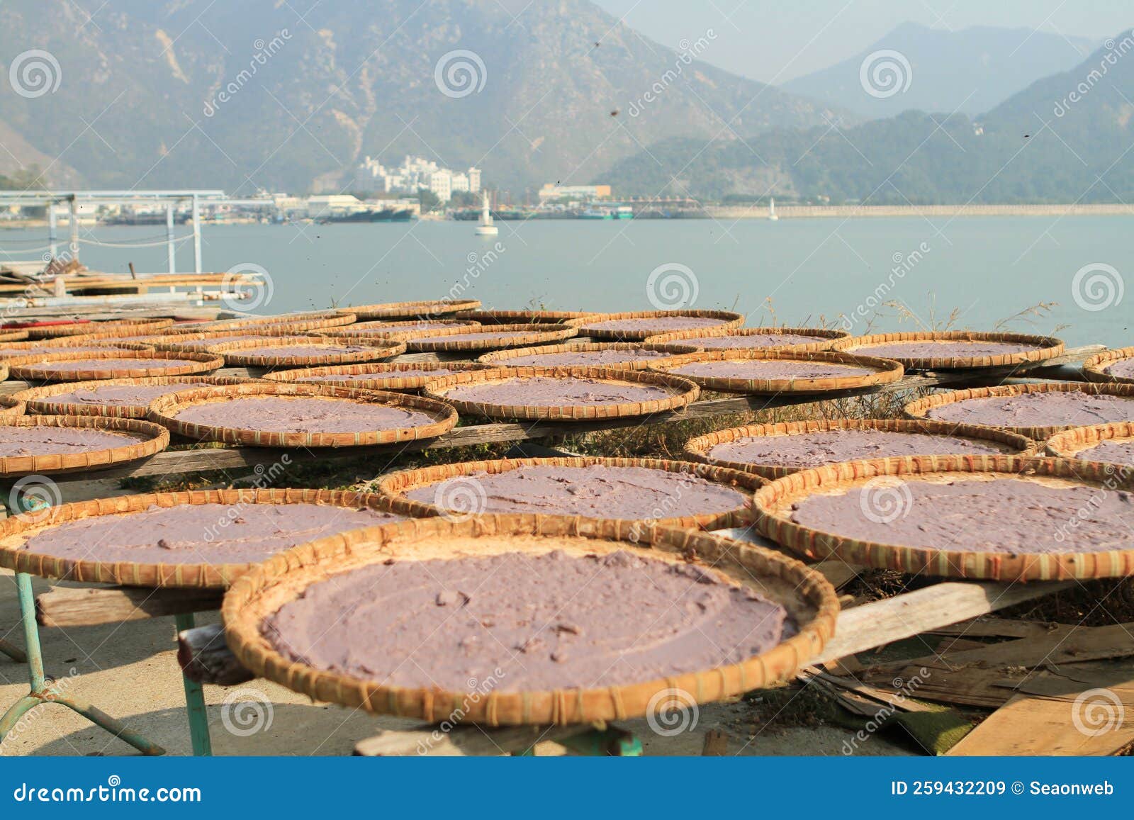 Drying Homemade Shrimp Paste Under the Sun in Tai O, 1 Jan 2012 ...