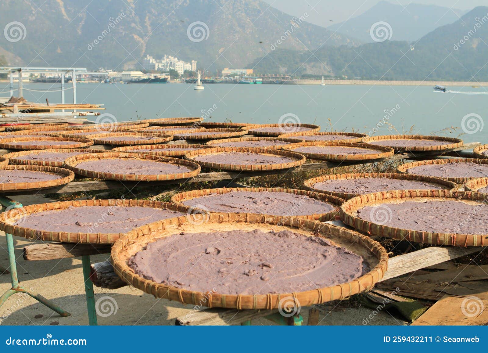 Drying Homemade Shrimp Paste Under the Sun in Tai O, 1 Jan 2012 ...