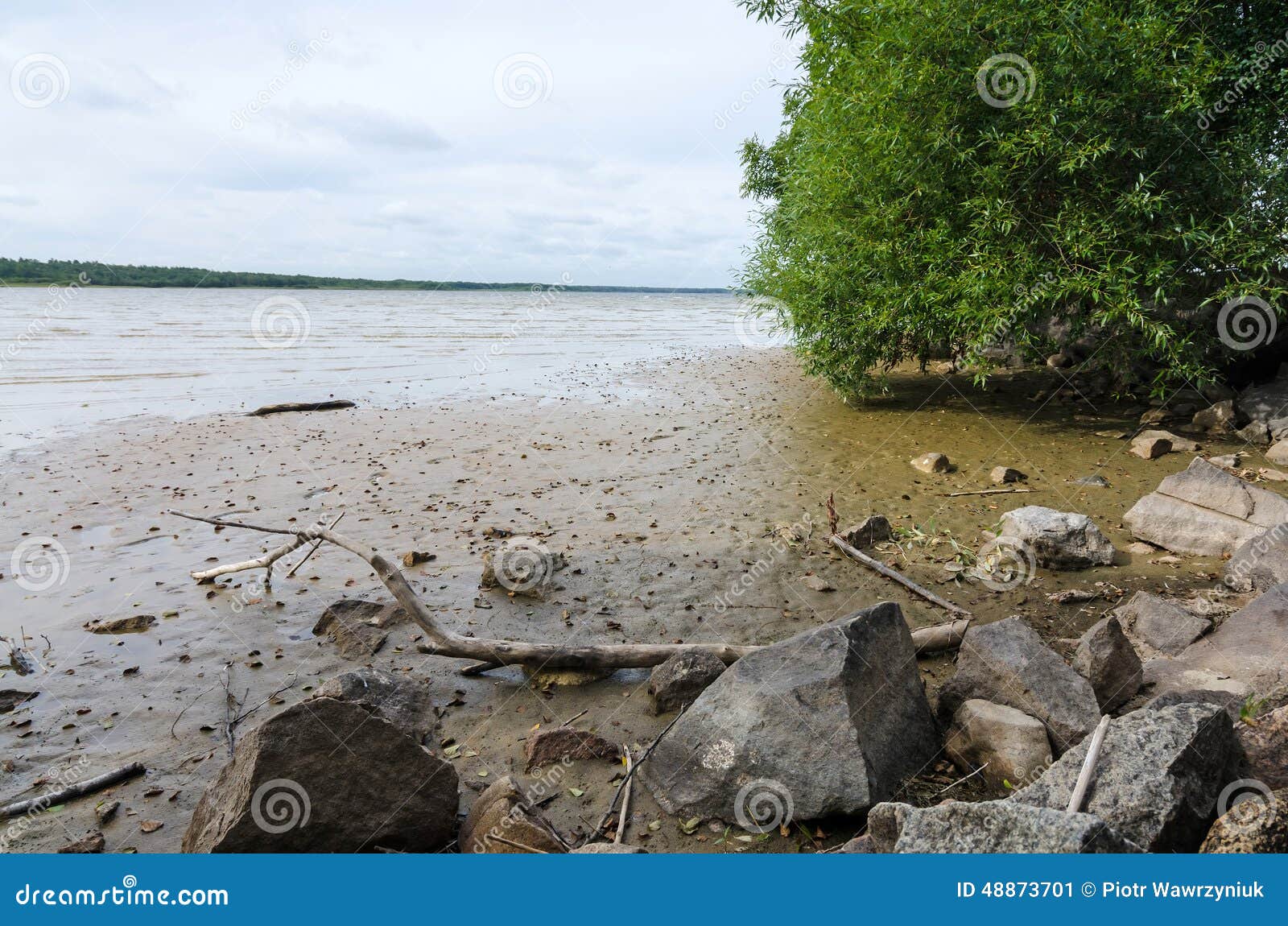 Drying Lake in Southern Sweden Stock Image - Image of disaster, climate ...