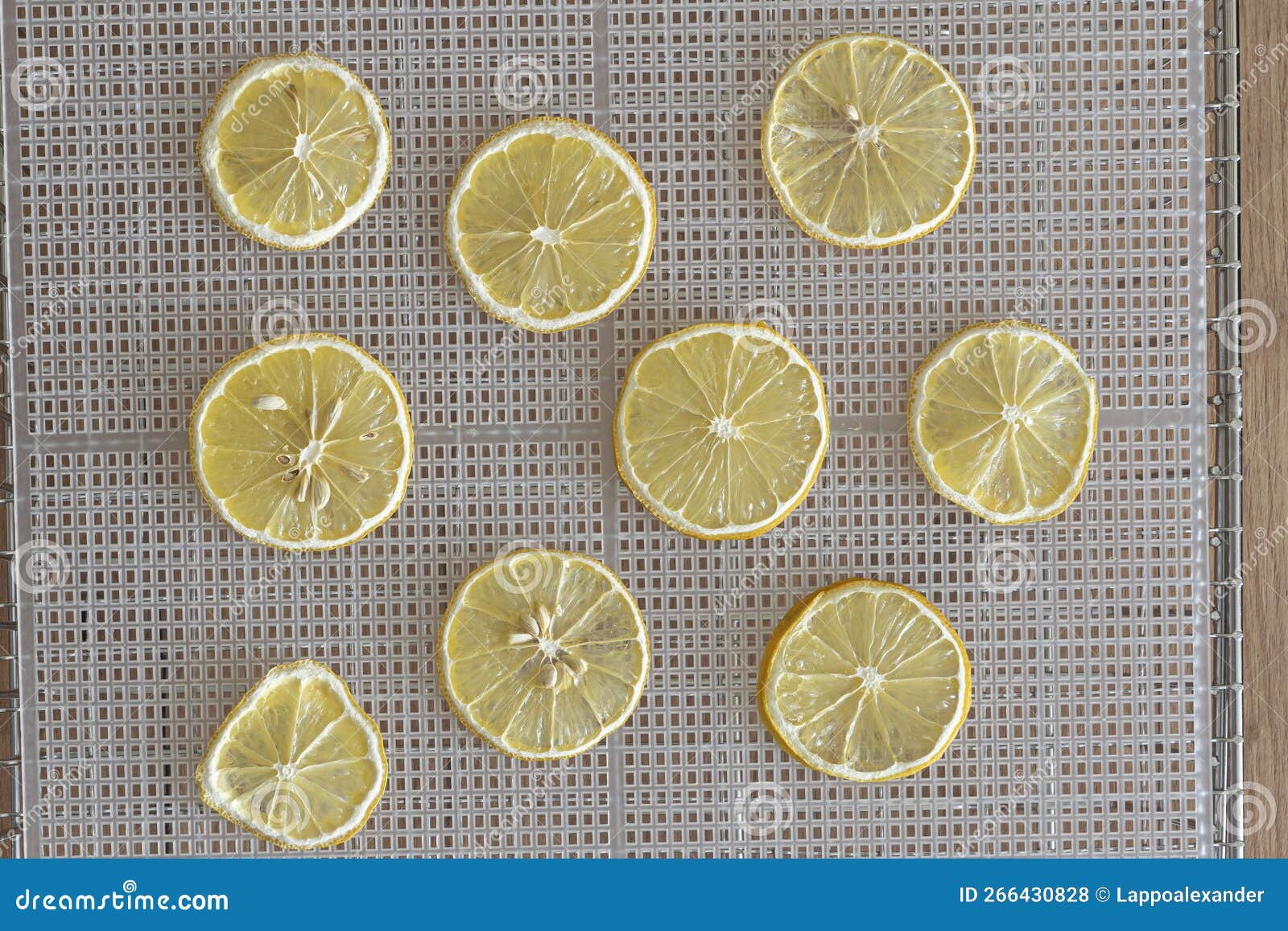 Drying lemon on a grid stock photo. Image of lemon, freshness - 266430828