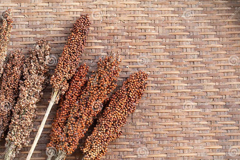 Drying Millet Twigs on Bamboo Table Background Dried Process Stock ...