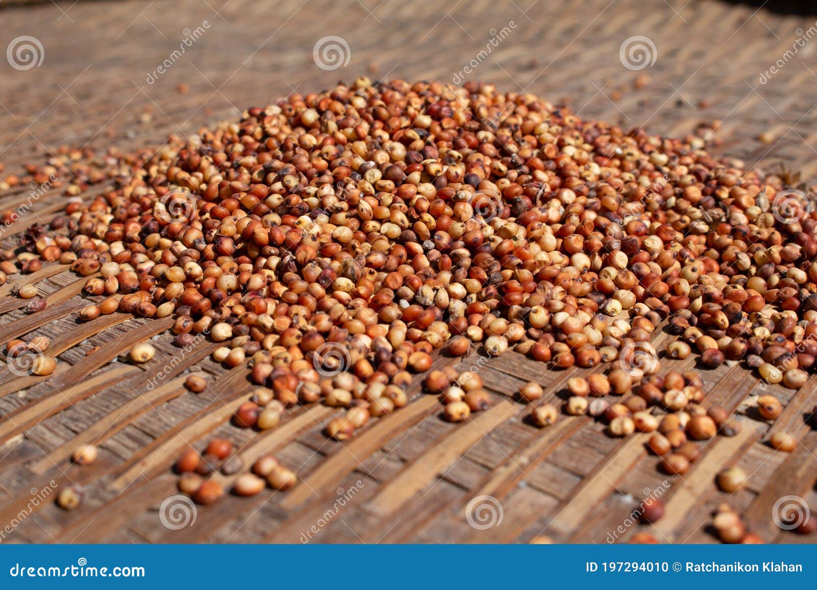 Drying Millets on Bamboo Table Background Dried Process Stock Photo ...