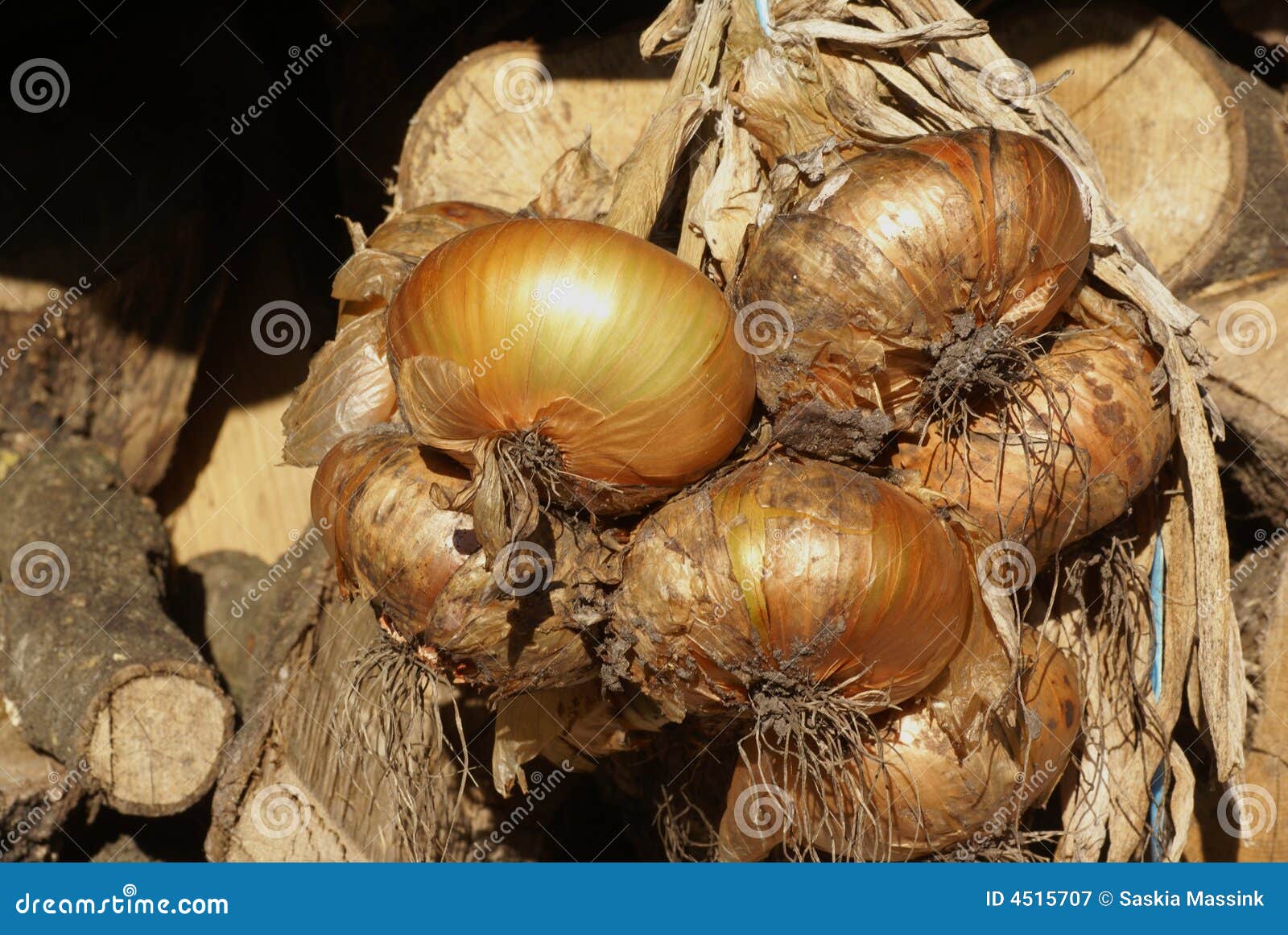 Drying Onions. Picture Image: 4515707