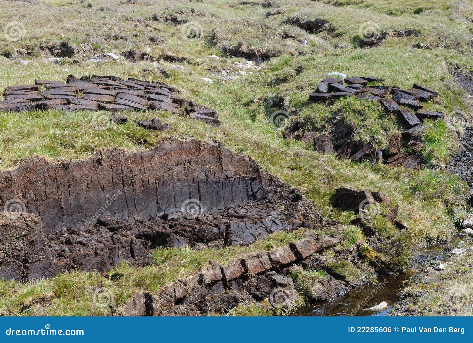 Drying peat stock photo. Image of cutoff, marsh, nature - 22285606