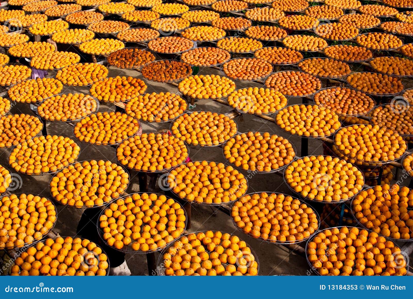 Drying persimmon stock image. Image of color, nature - 13184353
