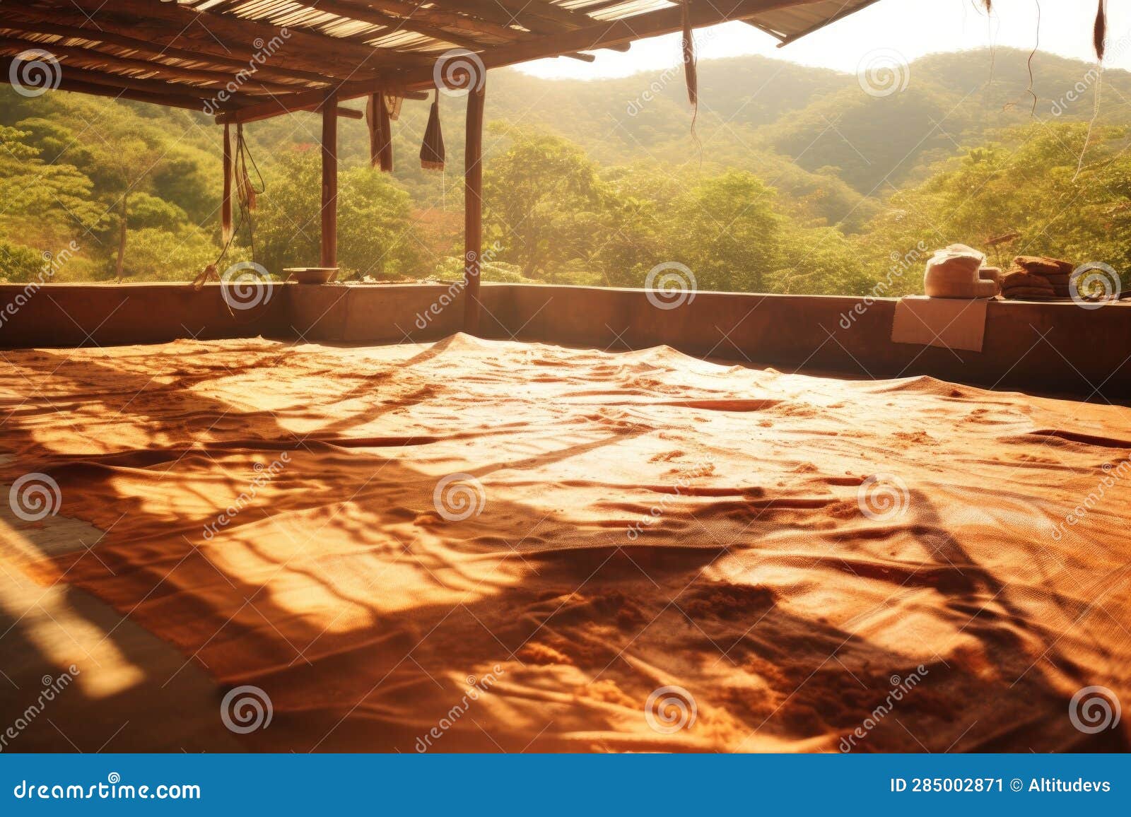 Drying Process of Tapa Cloth Under Natural Sunlight Stock Illustration ...