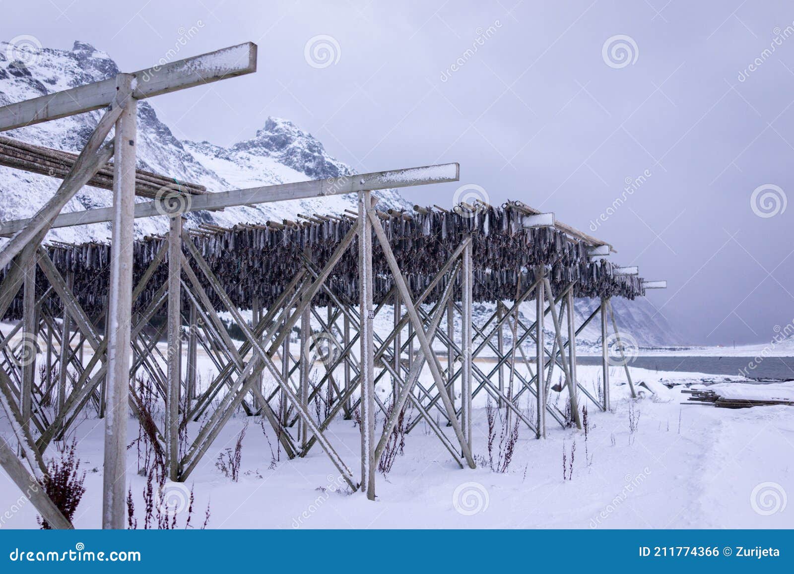 Drying Racks for Fish Heads , High Quality Photo Stock Photo - Image of ...