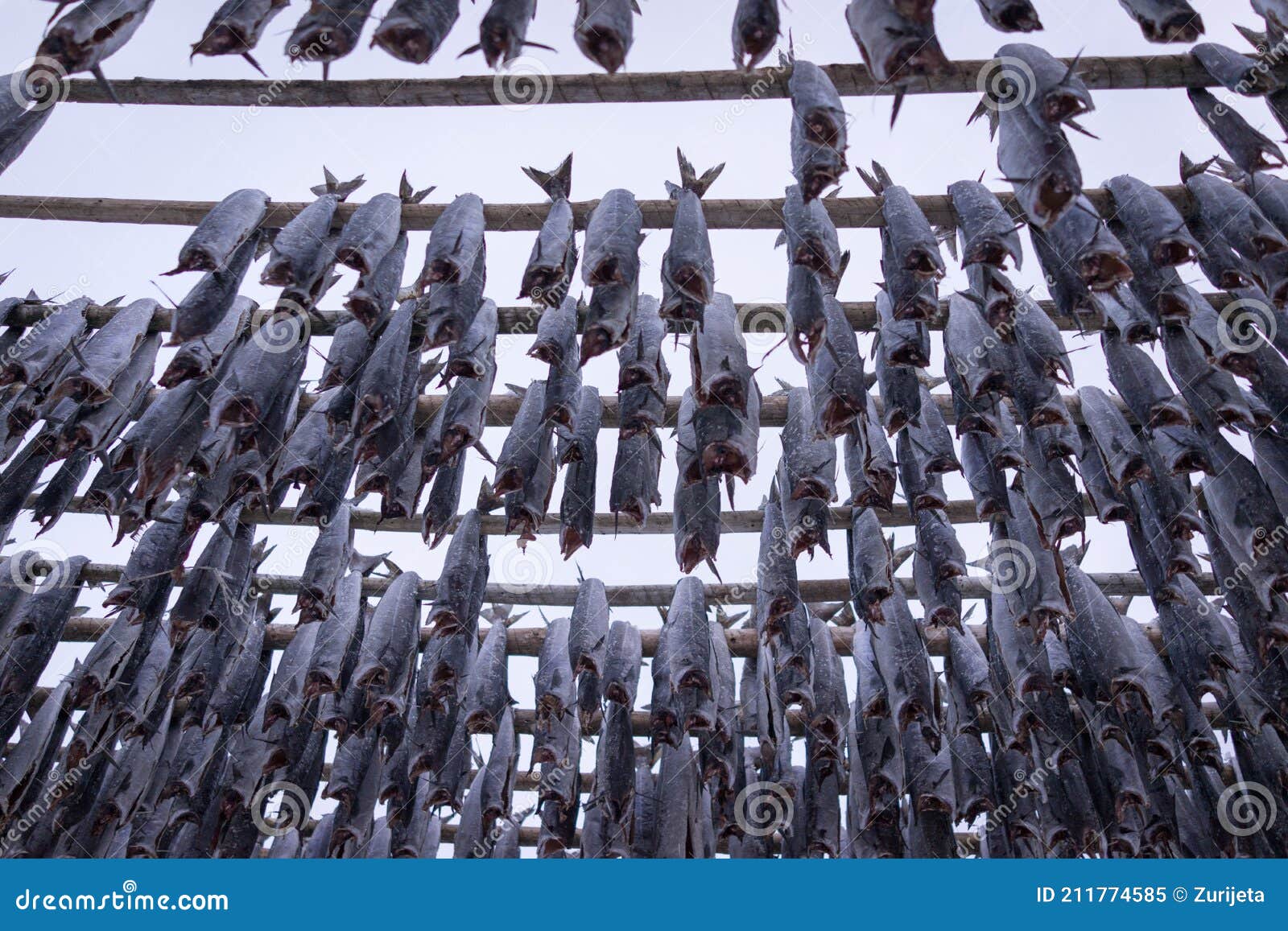 Drying Racks for Fish Heads , High Quality Photo Stock Image - Image of ...