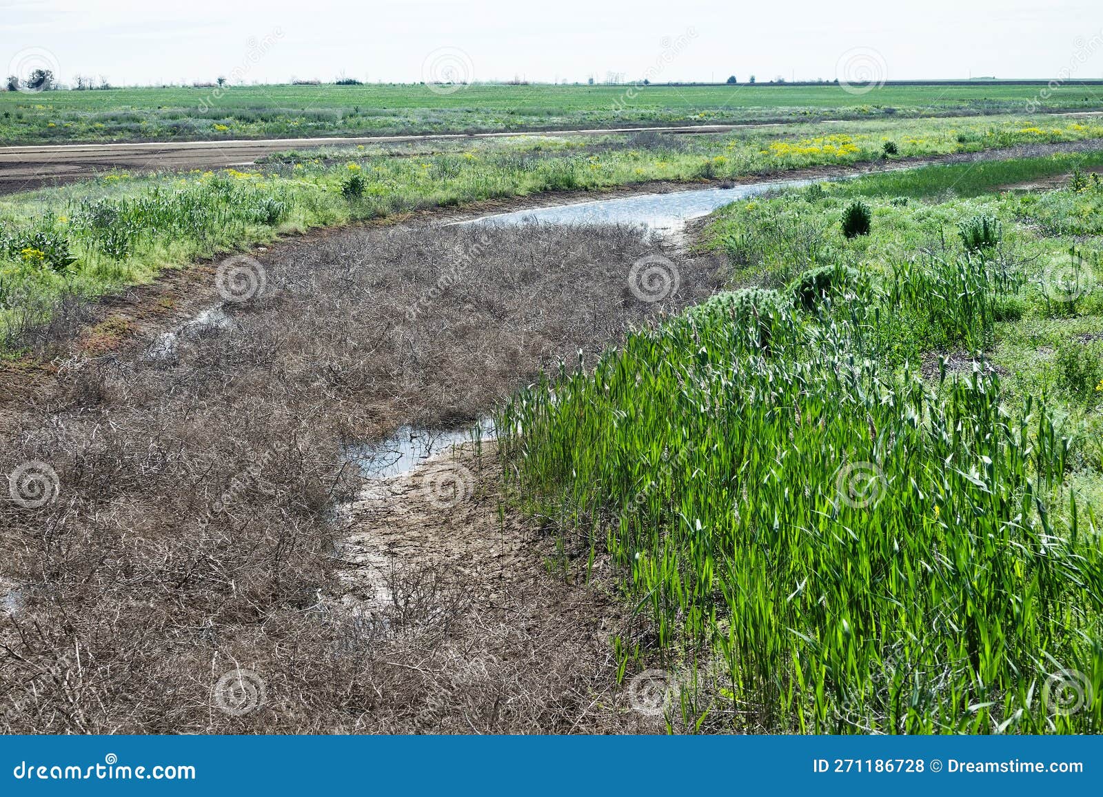 A Drying River in the Spring Steppe Stock Photo - Image of dirt ...