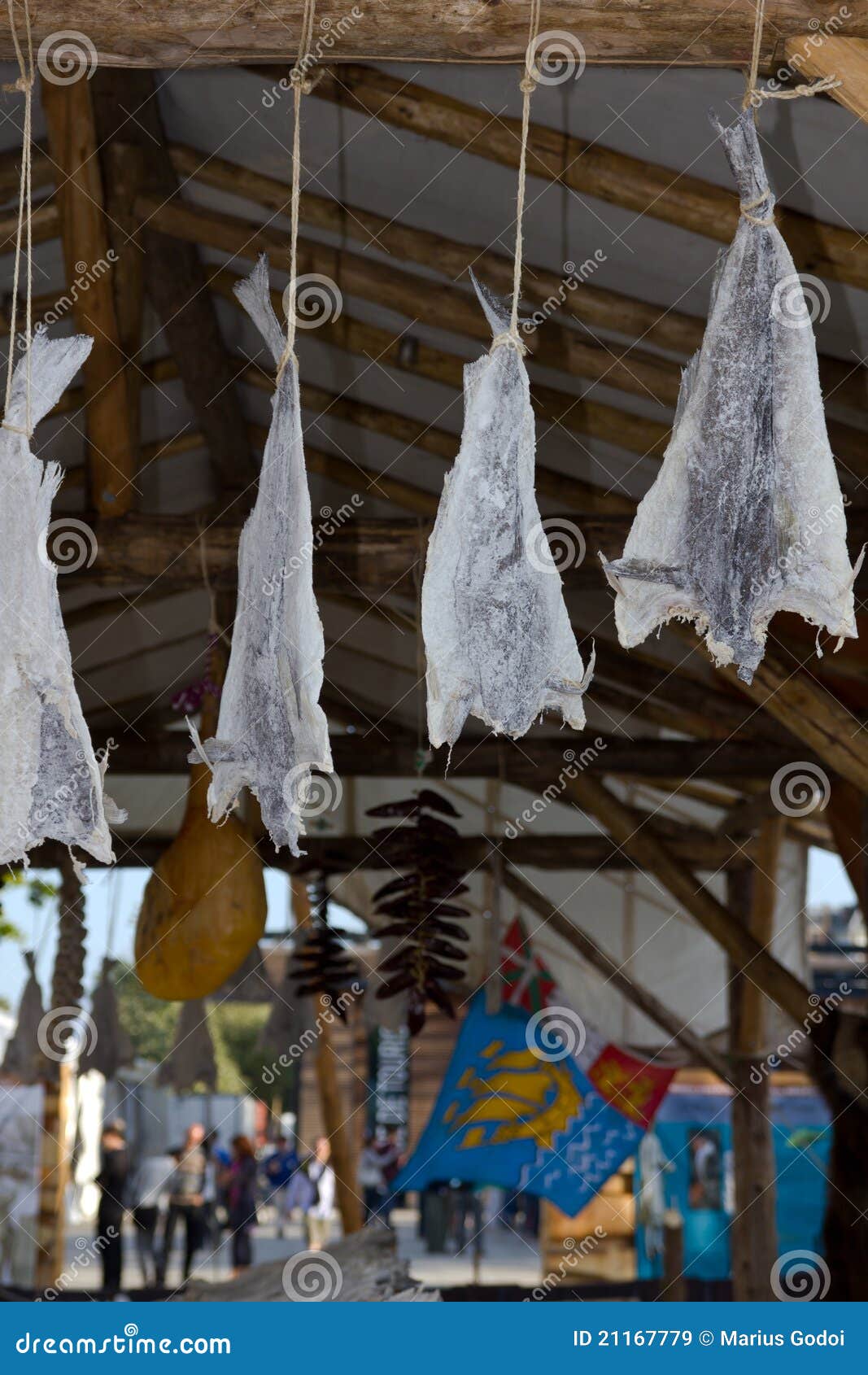 Drying salted fishes stock image. Image of rows, pepperoni - 21167779