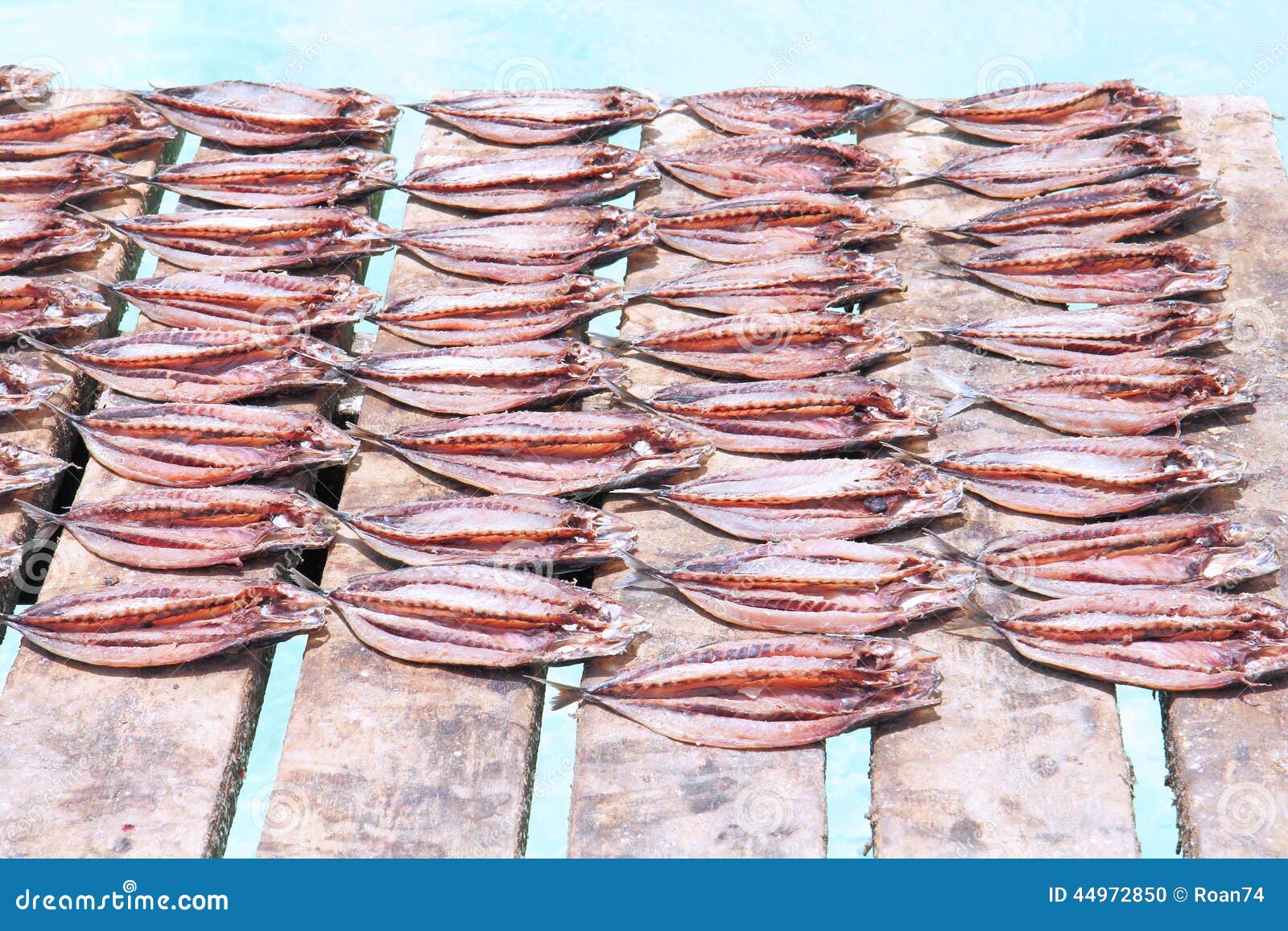 Drying salted fishes stock photo. Image of ocean, food - 44972850