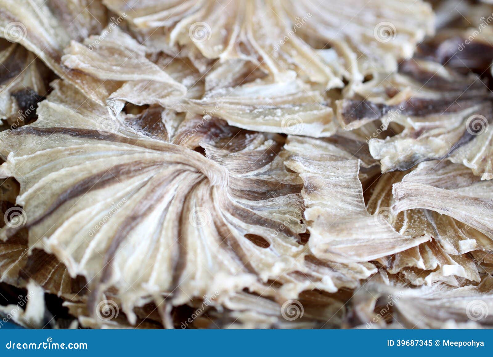 Drying Sea Fish in Preservation of Foods. Stock Image - Image of drying ...