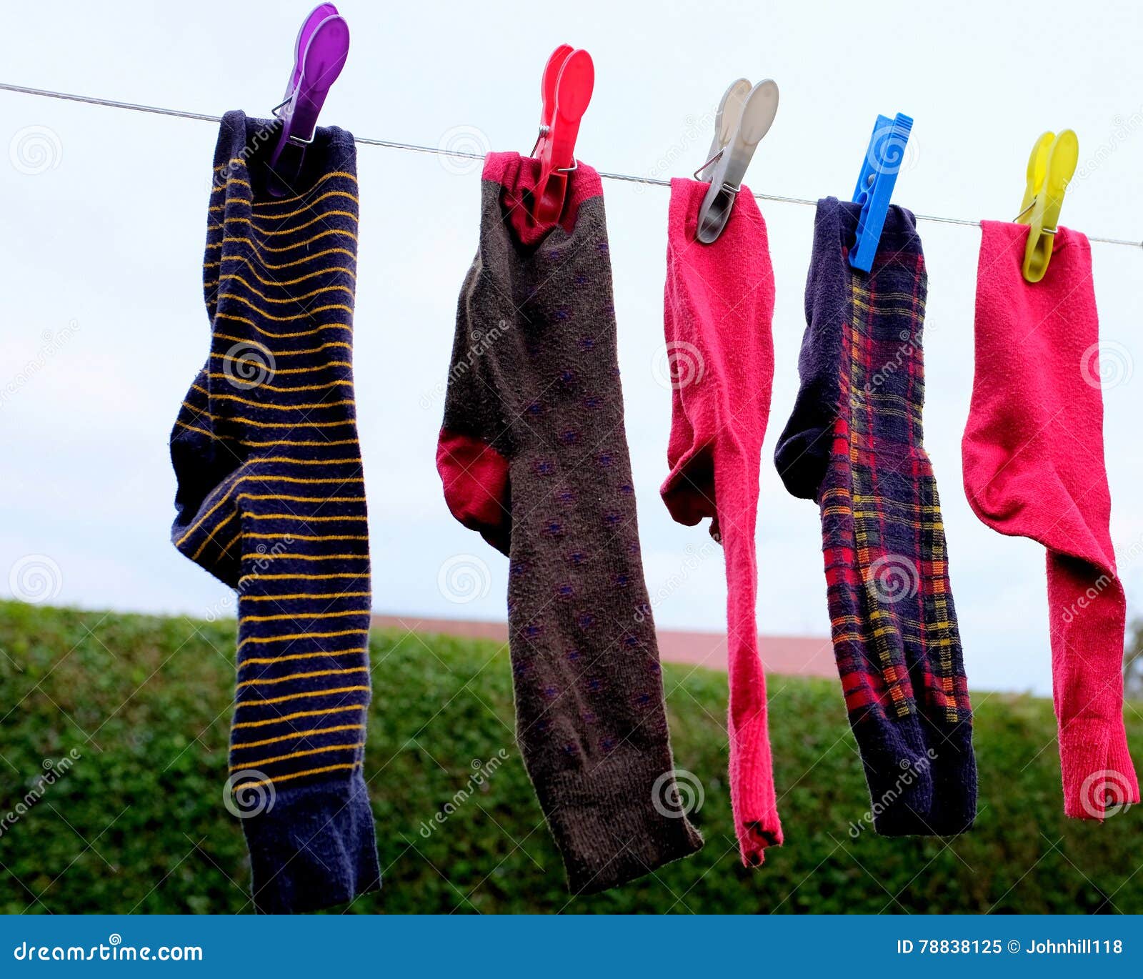 Drying Socks. stock image. Image of pink, plad, scotch - 78838125