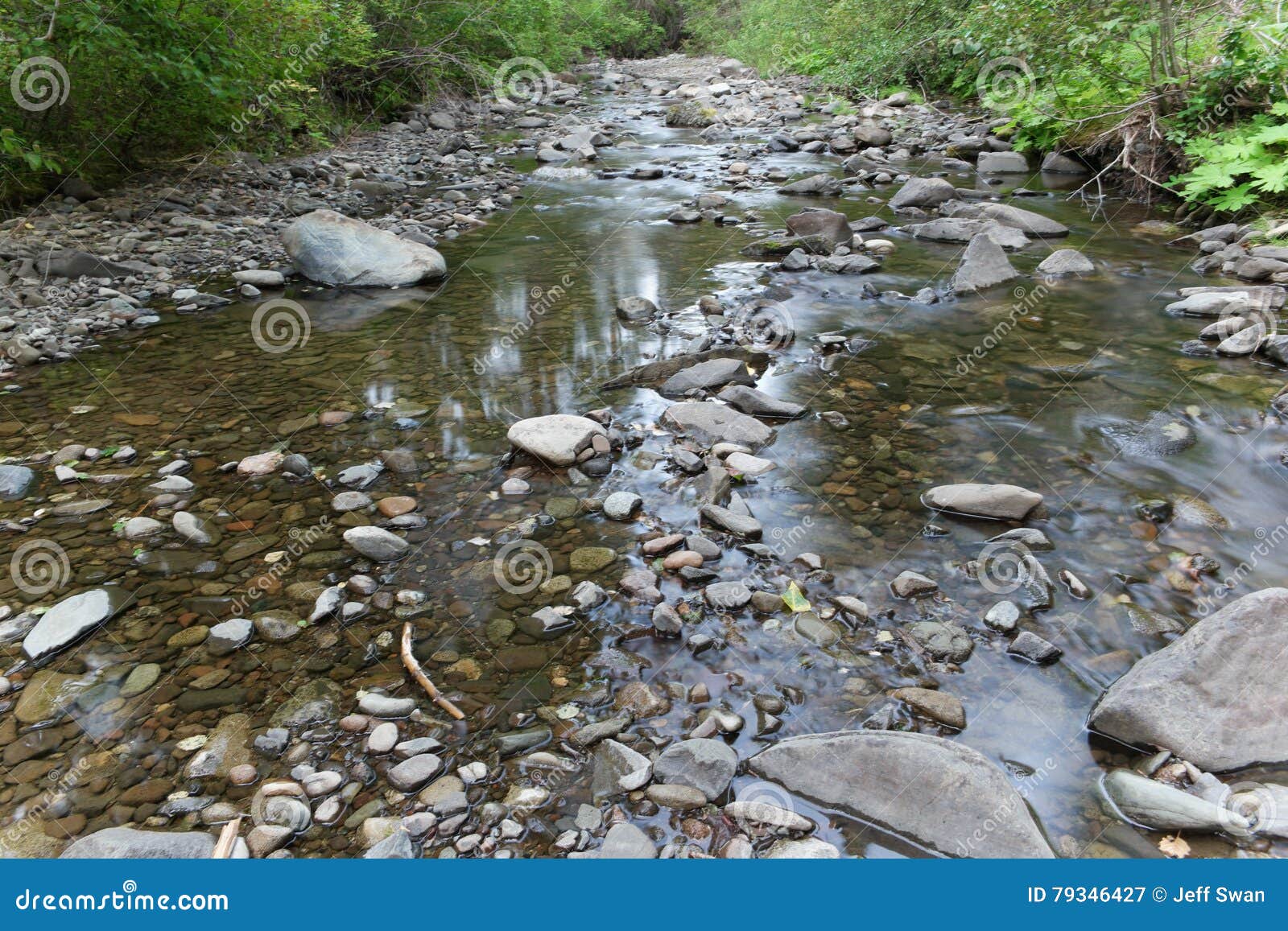 Drying Up Stream. Shot. Cracking Clay On Surface Of Ground Near Drying ...