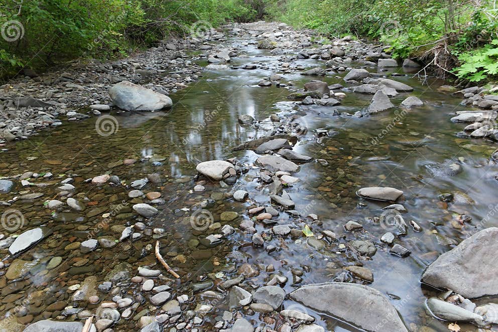 Drying stream bed stock image. Image of stream, drying - 79346427