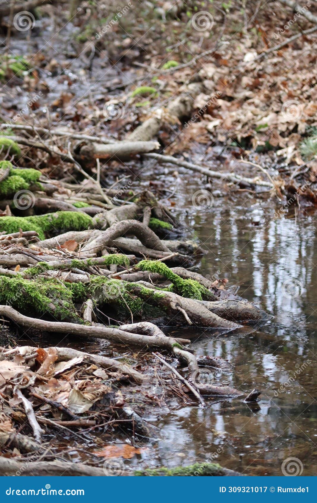 Drying Up Stream. Shot. Cracking Clay On Surface Of Ground Near Drying ...