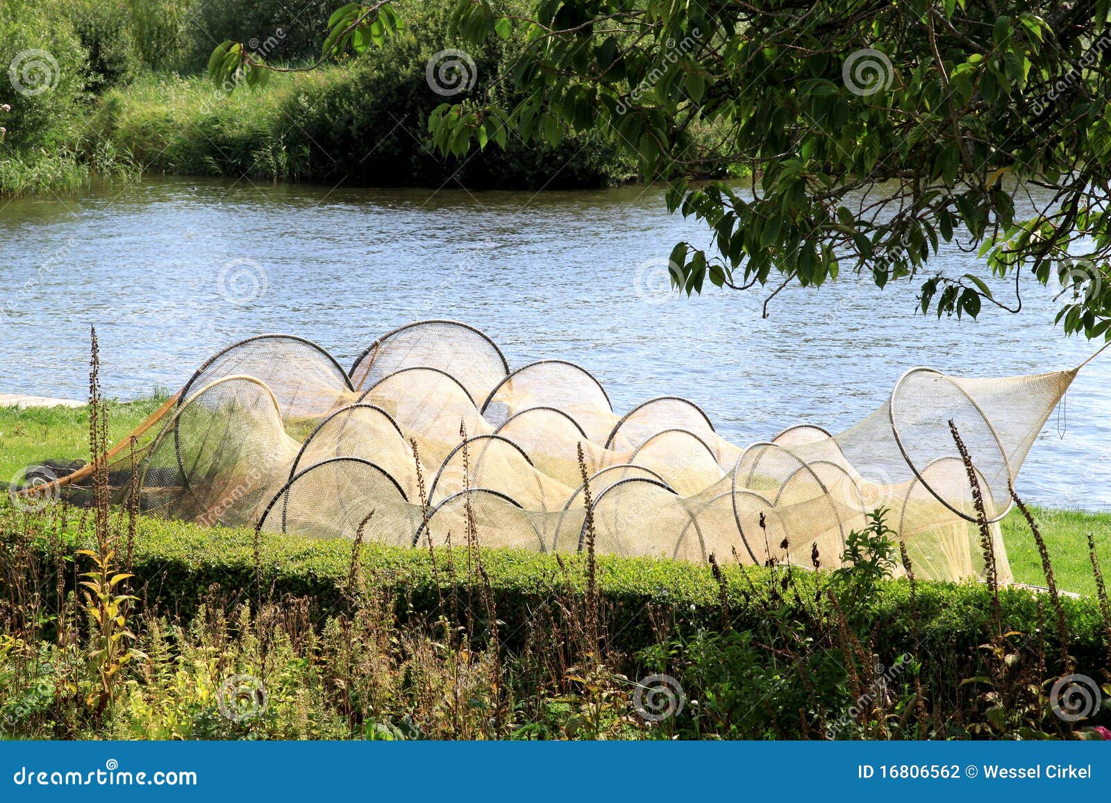 Drying Traps Along the Edge of a Dutch Lake Stock Photo - Image of mesh ...