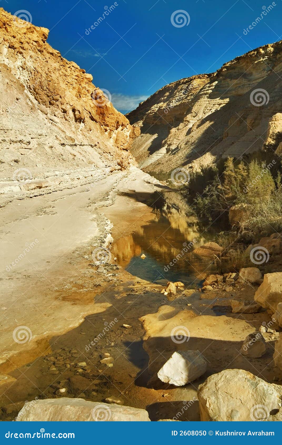 Drying Up Stream Picture. Image: 2608050