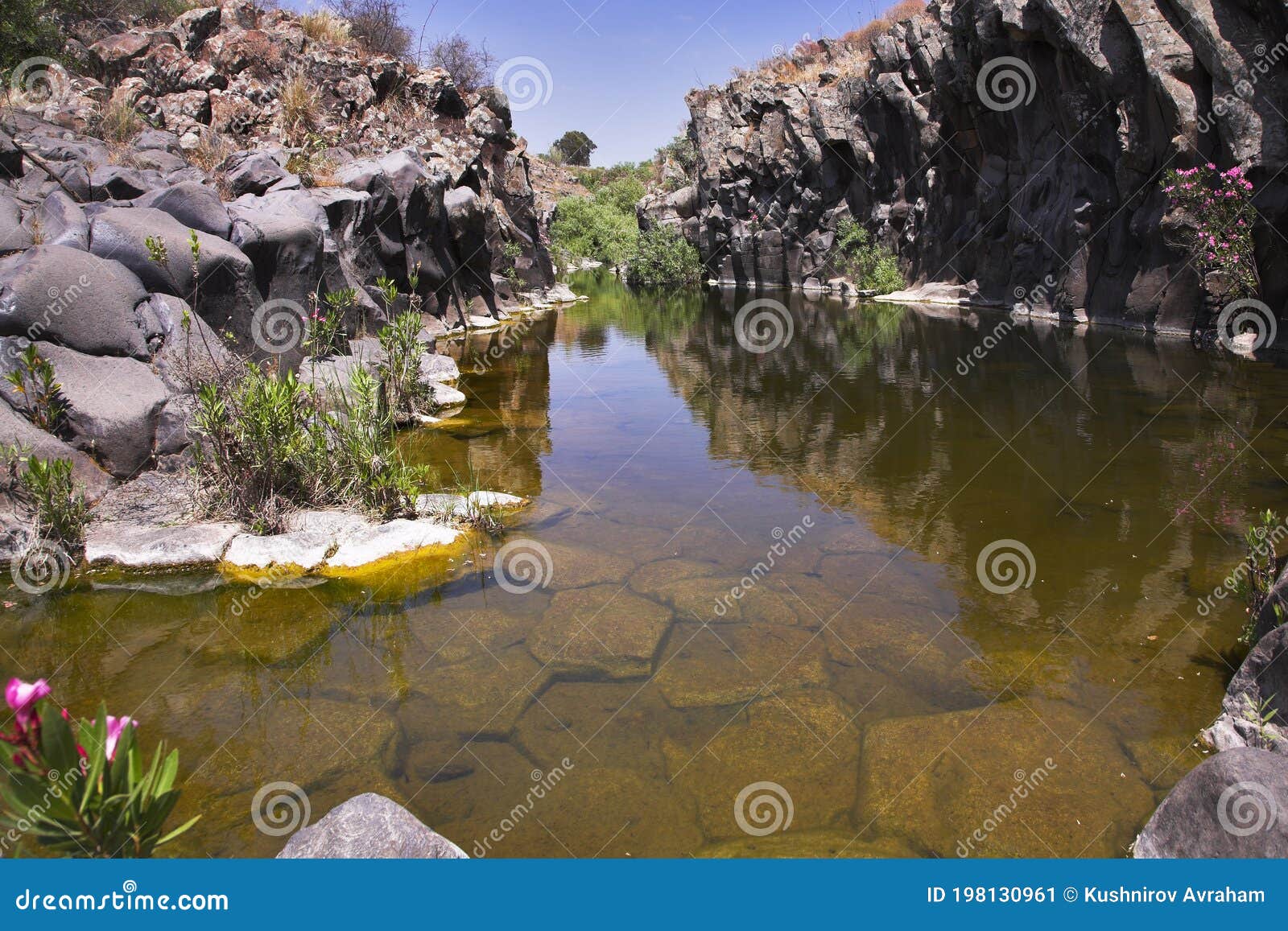 Drying up stream stock image. Image of green, nature - 198130961